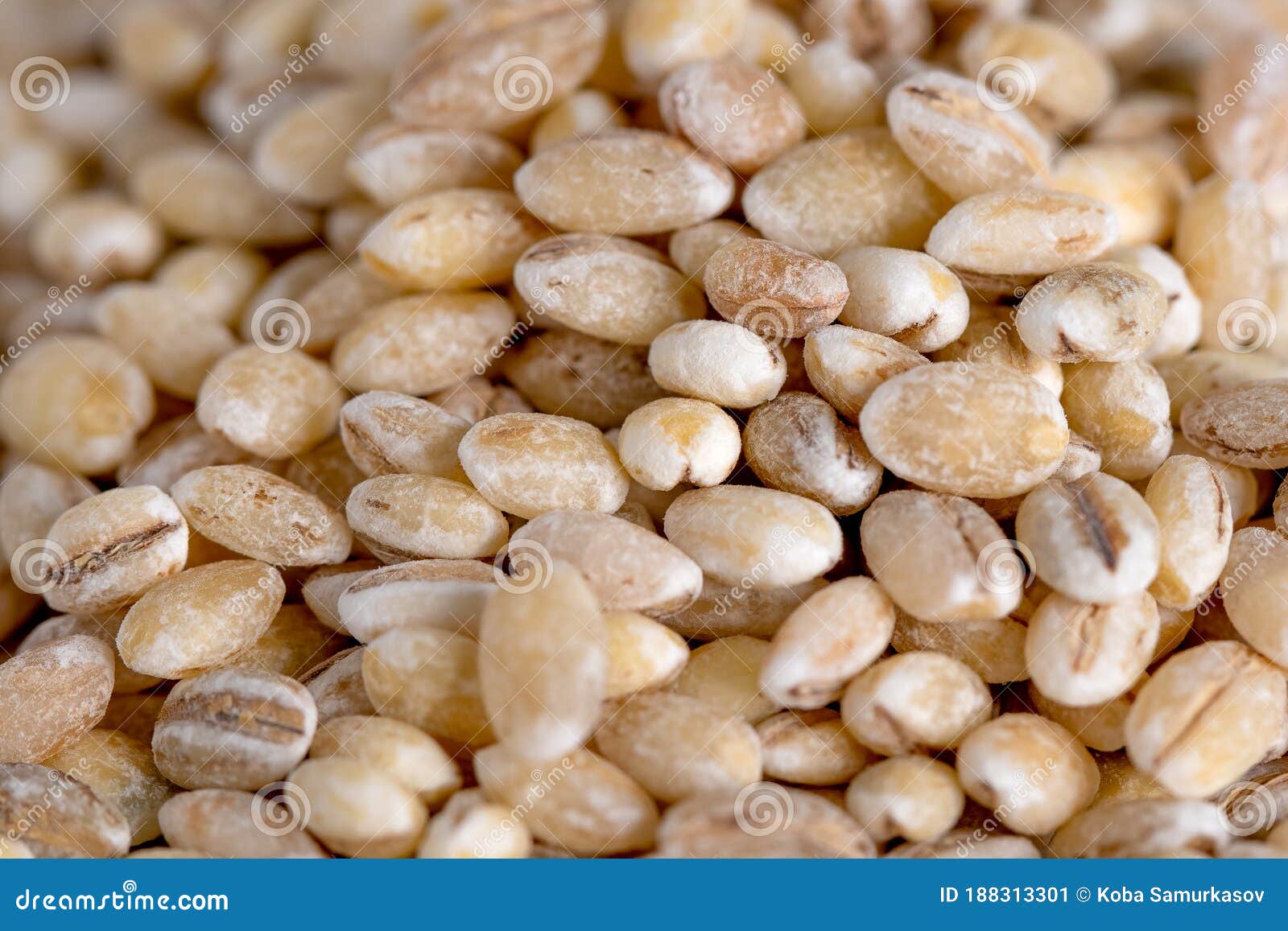 Fondo De Cierre De Macro De Textura De Cebada Perla Imagen de archivo ...