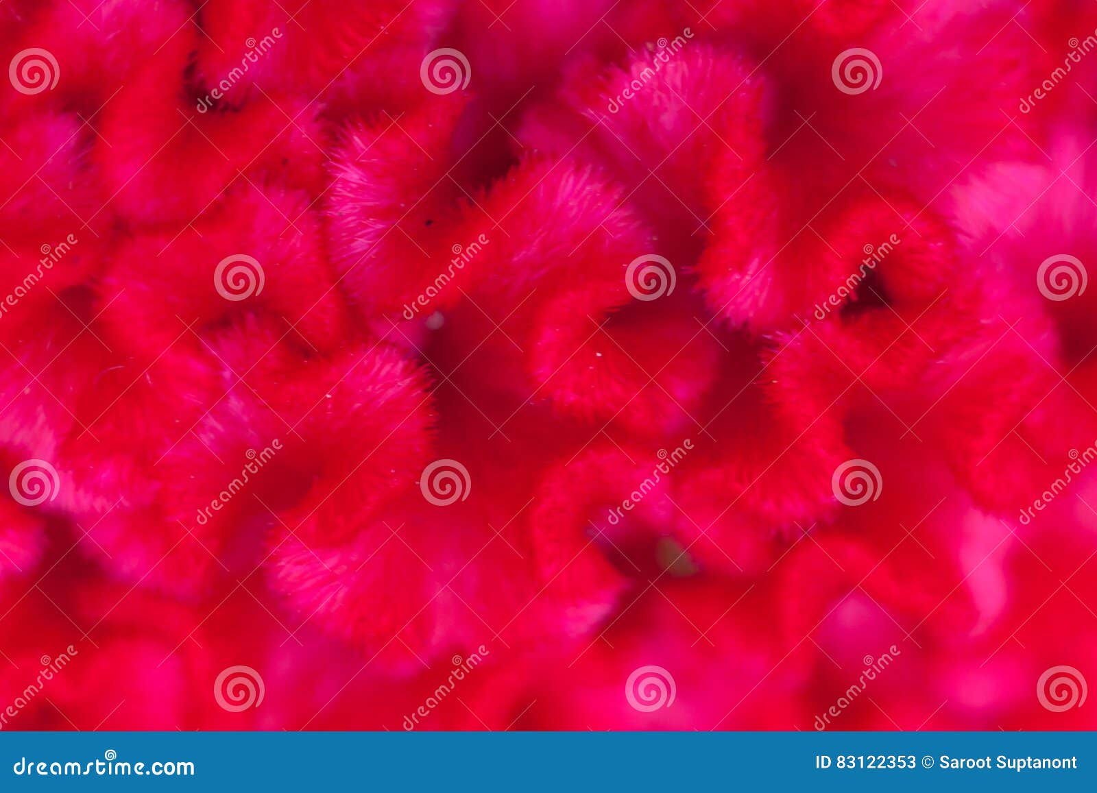 Fondo De Color Rosa Oscuro De La Textura Imagen de archivo - Imagen de ...