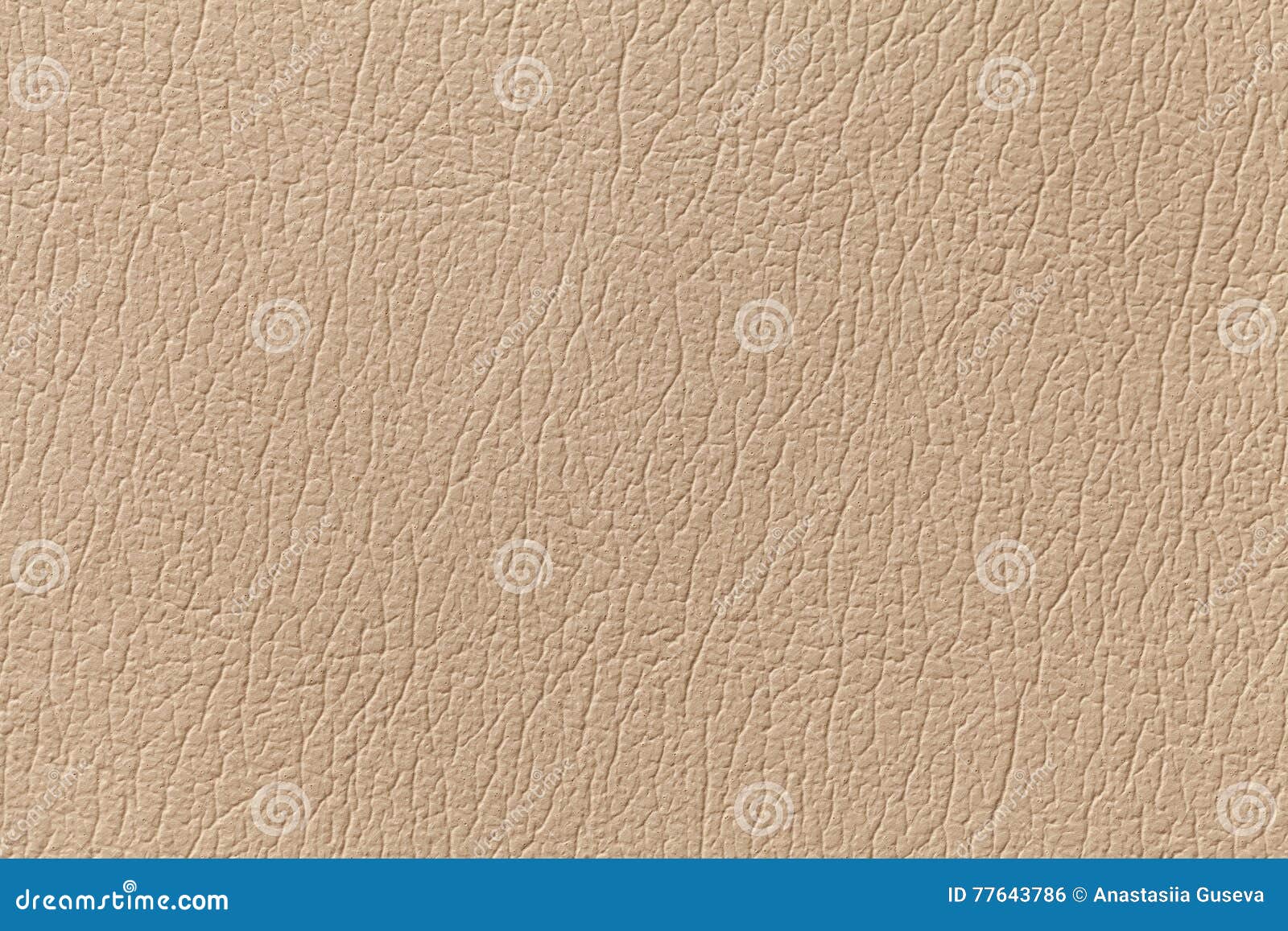 Fondo De Cuero Beige De La Textura Con El Modelo, Primer Foto de ...