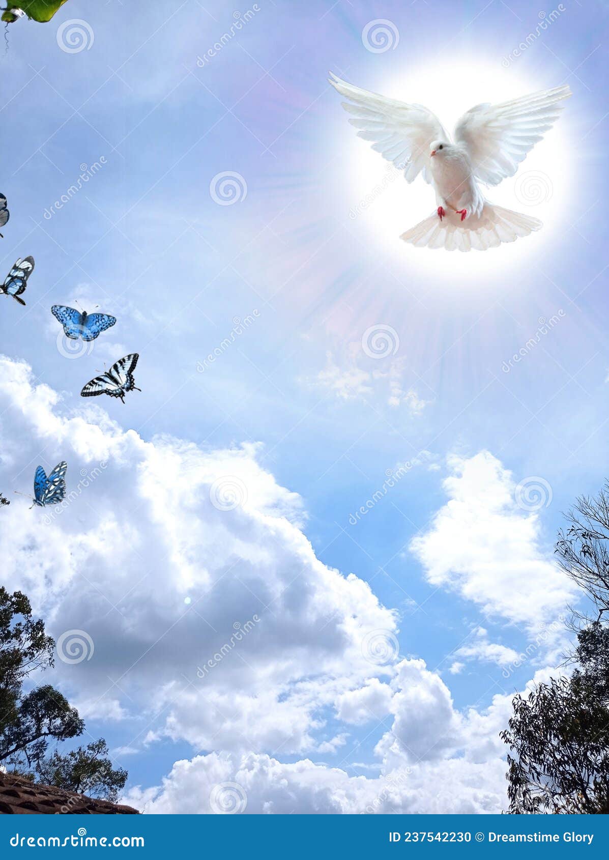 Fondo De Imagen De Palomas De Cielo Stock de ilustración - Ilustración ...