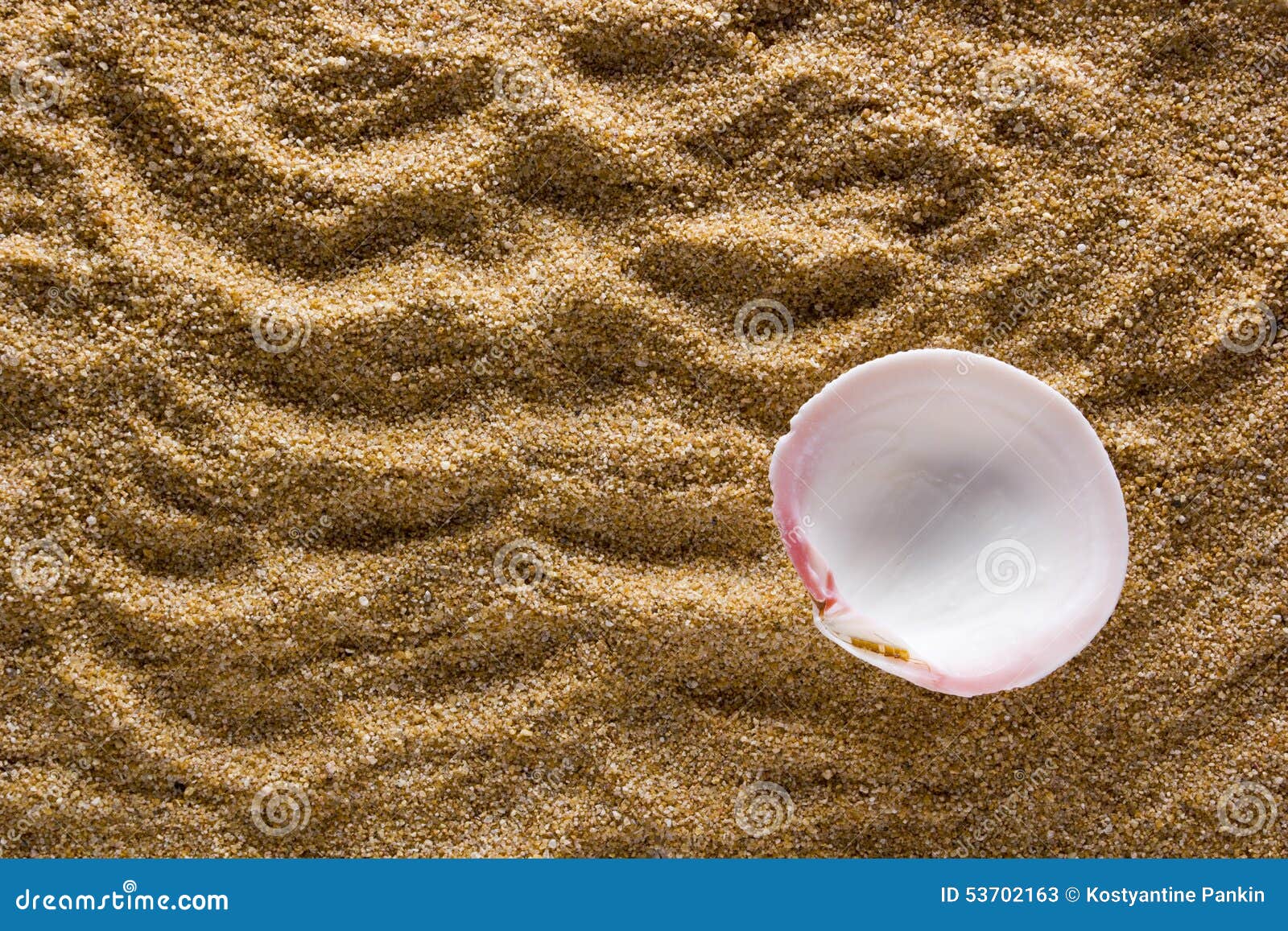 Fondo De La Arena Con El Shell Imagen de archivo - Imagen de costa ...