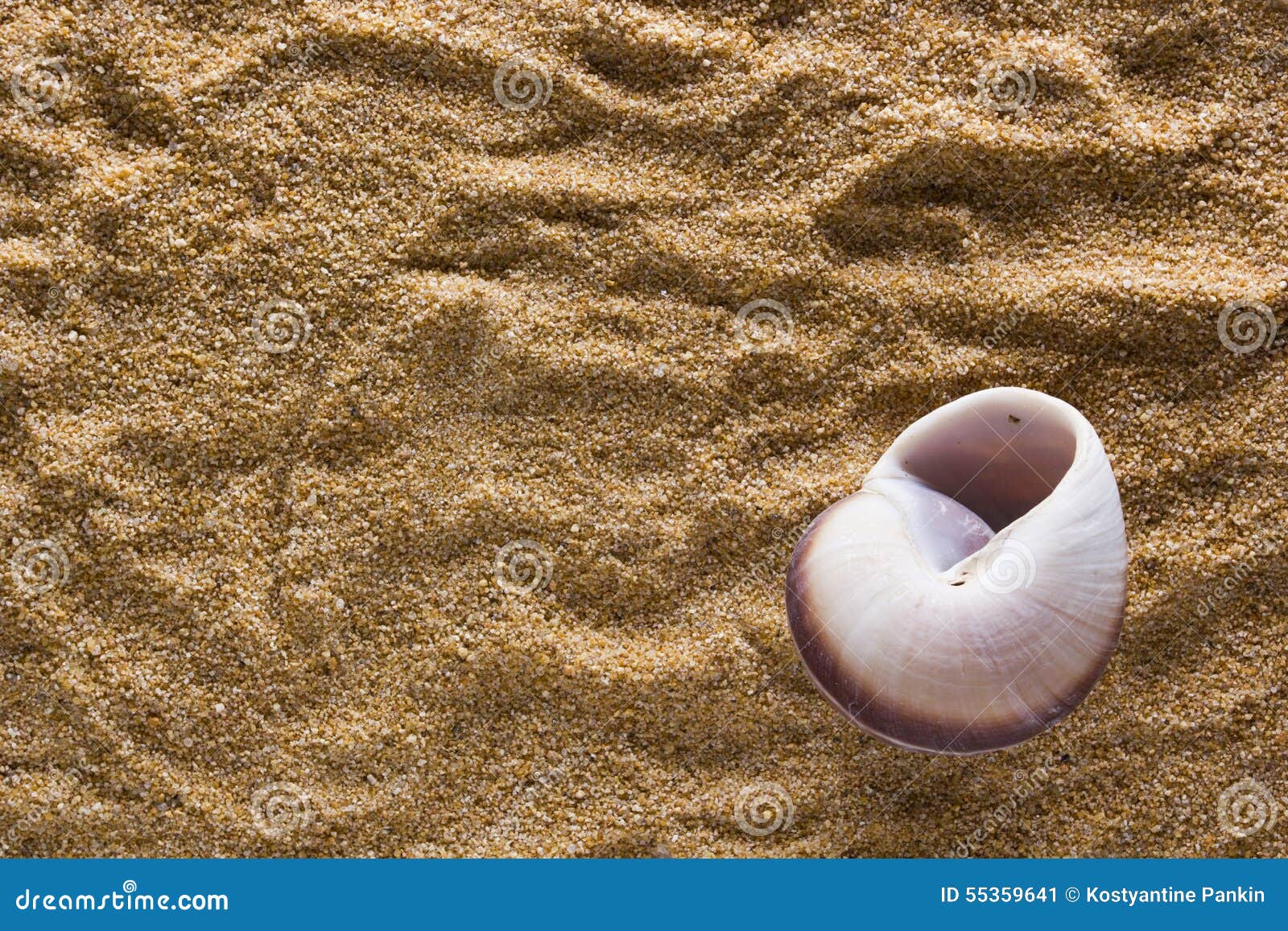 Fondo De La Arena Con El Shell Imagen de archivo - Imagen de costa ...