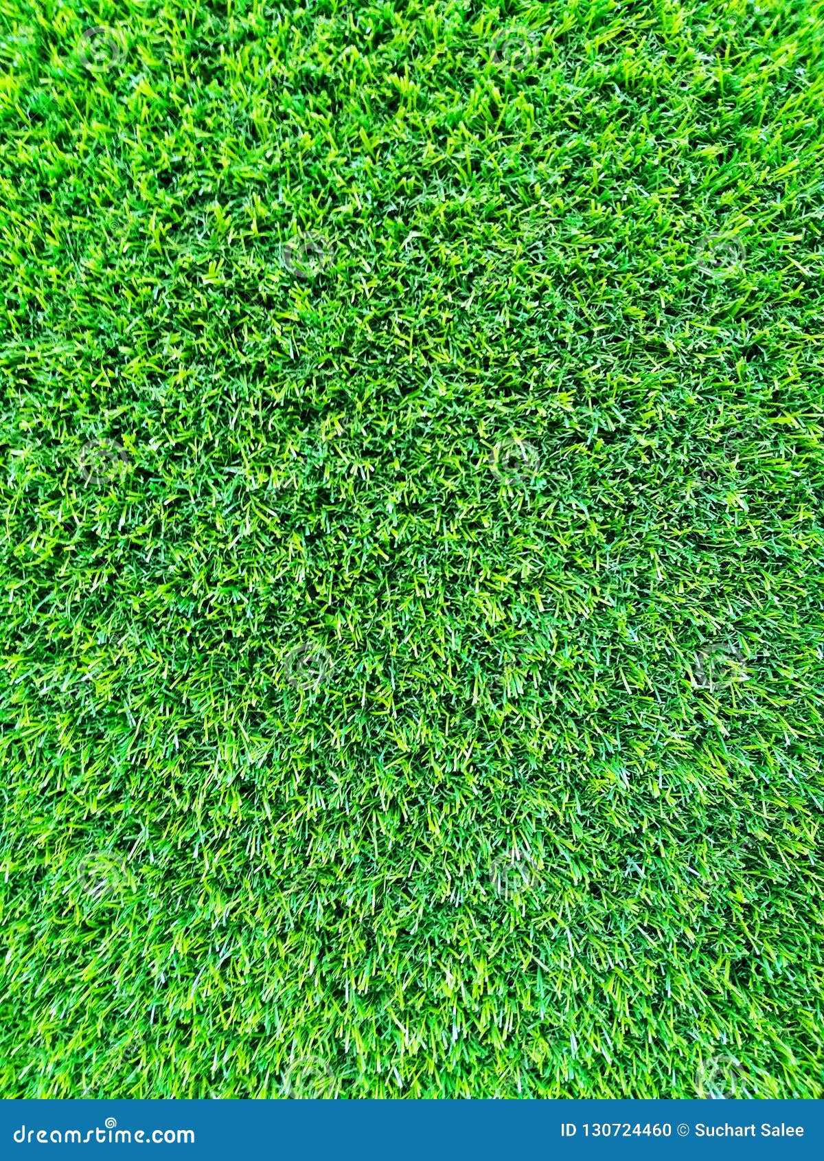 Fondo de la hierba foto de archivo. Imagen de fondo - 130724460