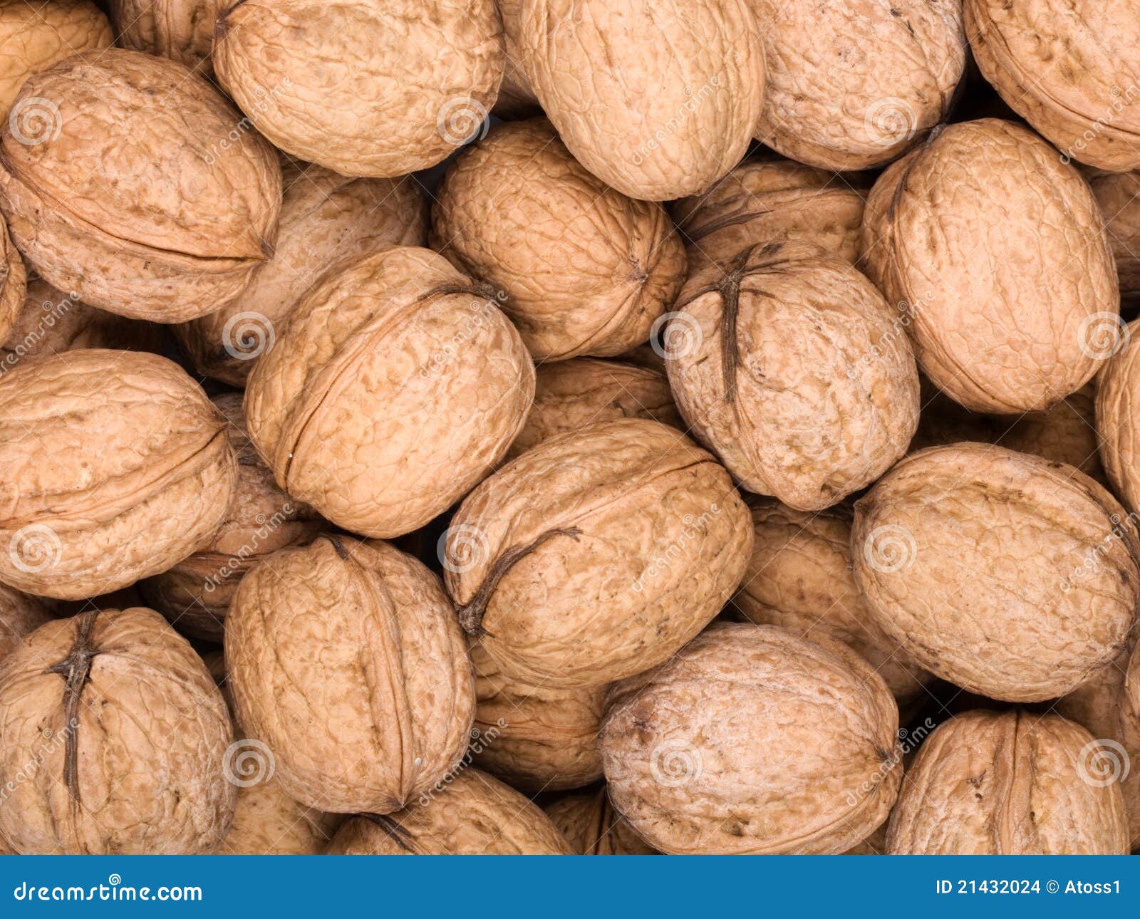 Fondo de la nuez foto de archivo. Imagen de sano, duro - 21432024