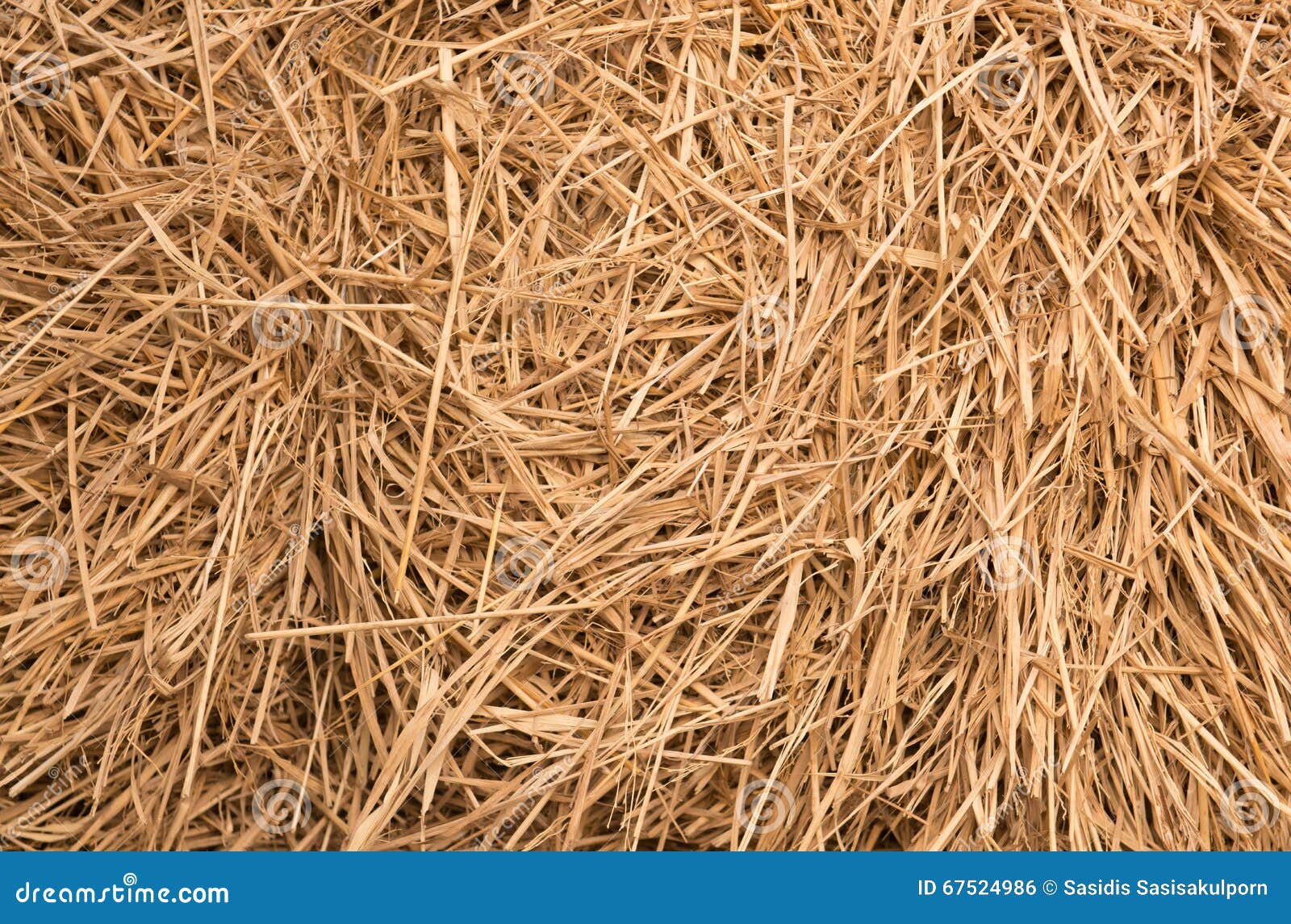 Fondo de la paja foto de archivo. Imagen de textura, pajar - 67524986
