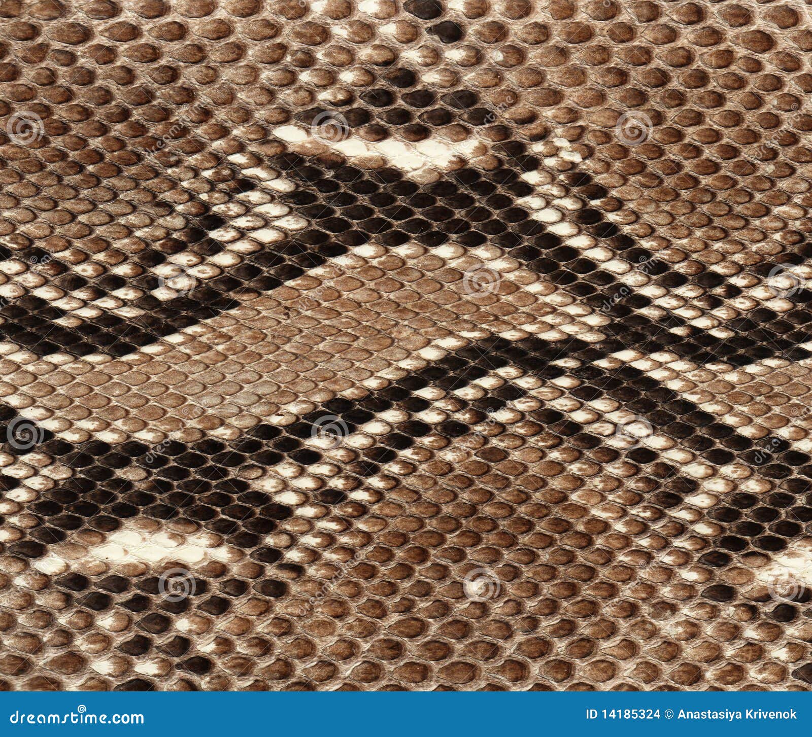Fondo De La Piel De Serpiente Foto de archivo - Imagen de dureza ...
