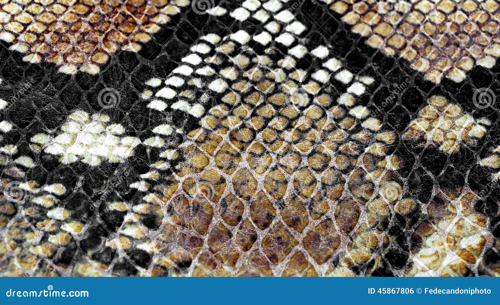 Fondo De La Piel De Serpiente Foto de archivo - Imagen de reptil ...