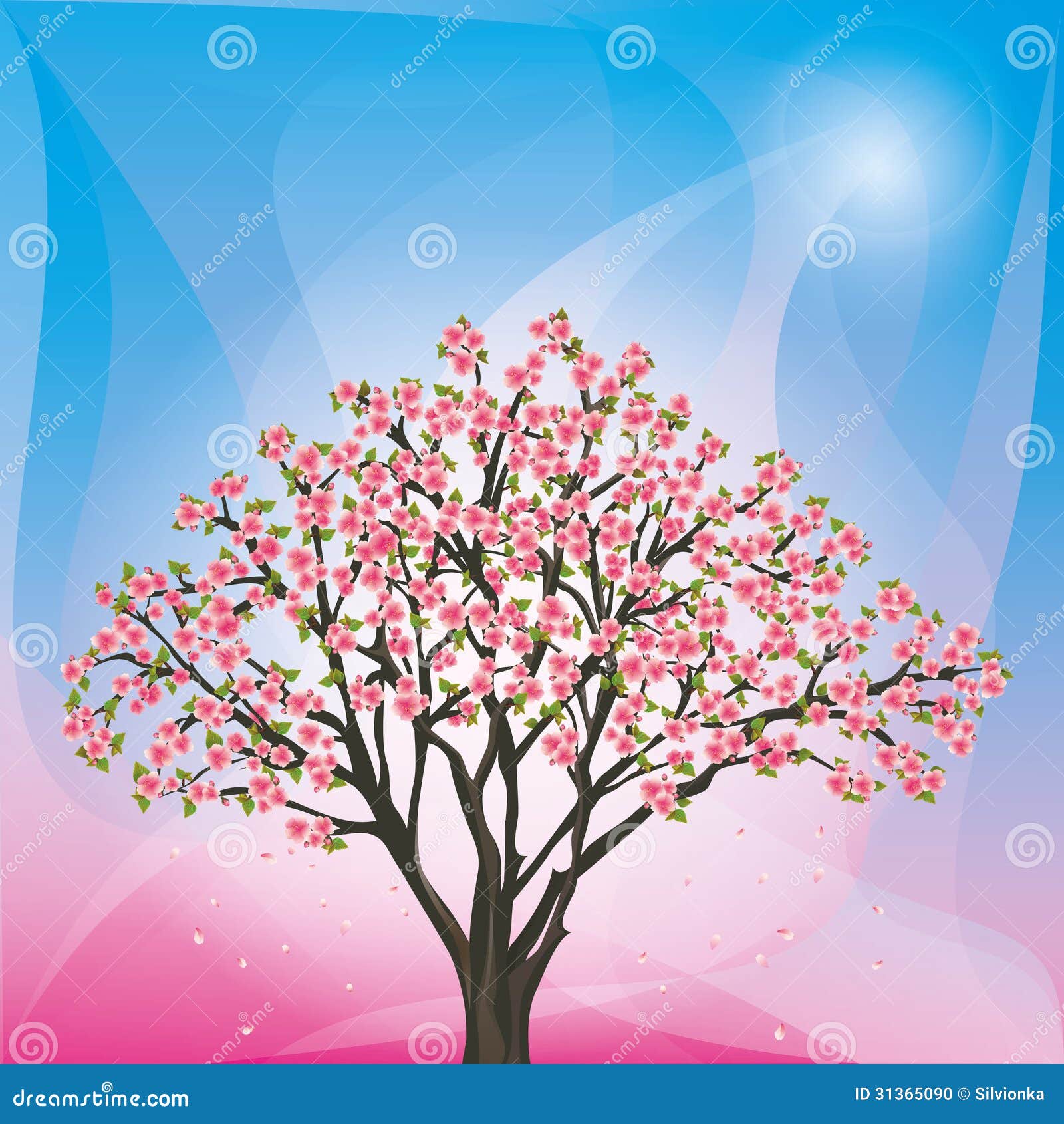 Fondo De La Primavera Con El Flor De Sakura - C Japonesa Ilustración ...