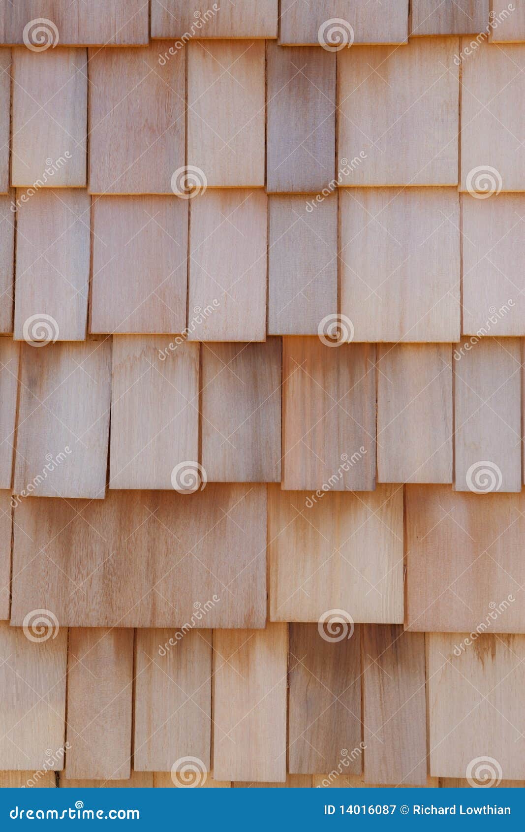 Fondo De La Ripia Del Cedro Imagen de archivo - Imagen de pared ...