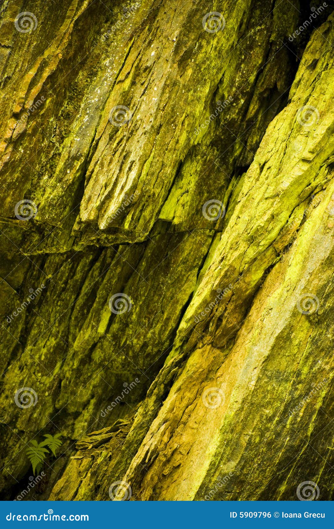 Fondo de la roca foto de archivo. Imagen de roca, derecho - 5909796