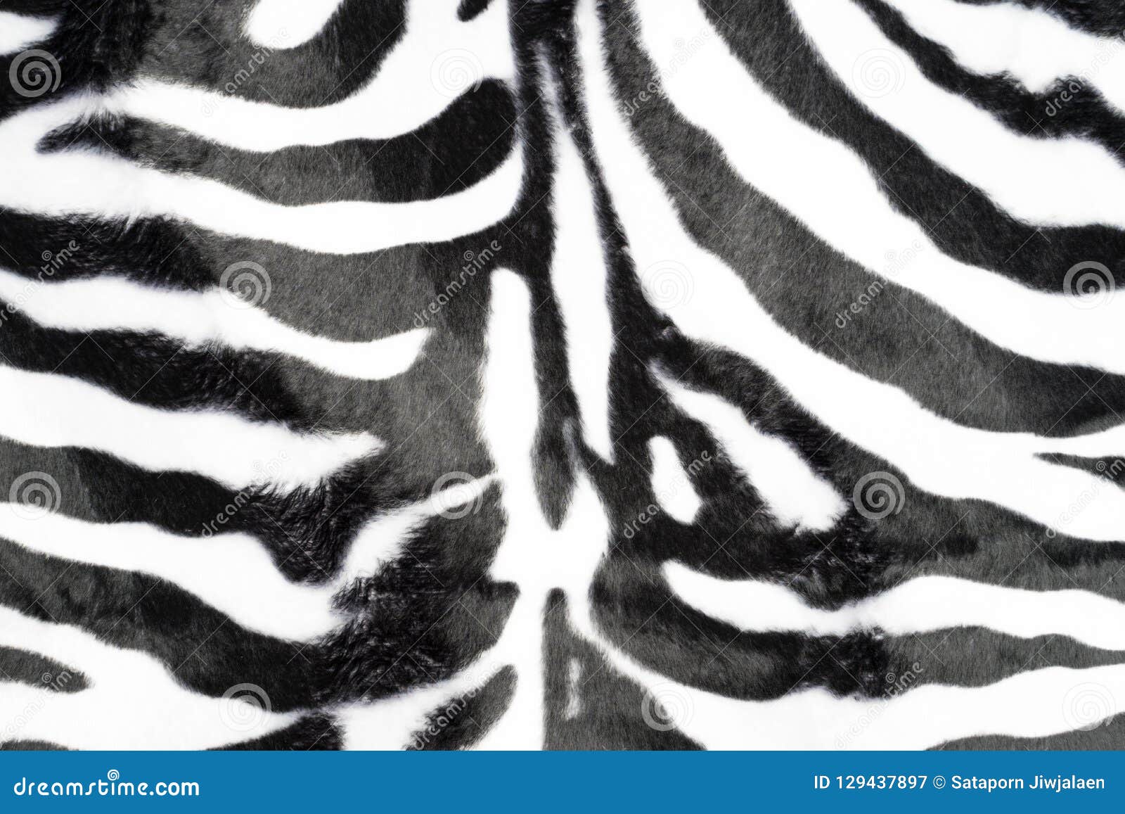 Fondo De La Textura De La Cebra Imagen de archivo - Imagen de textura ...