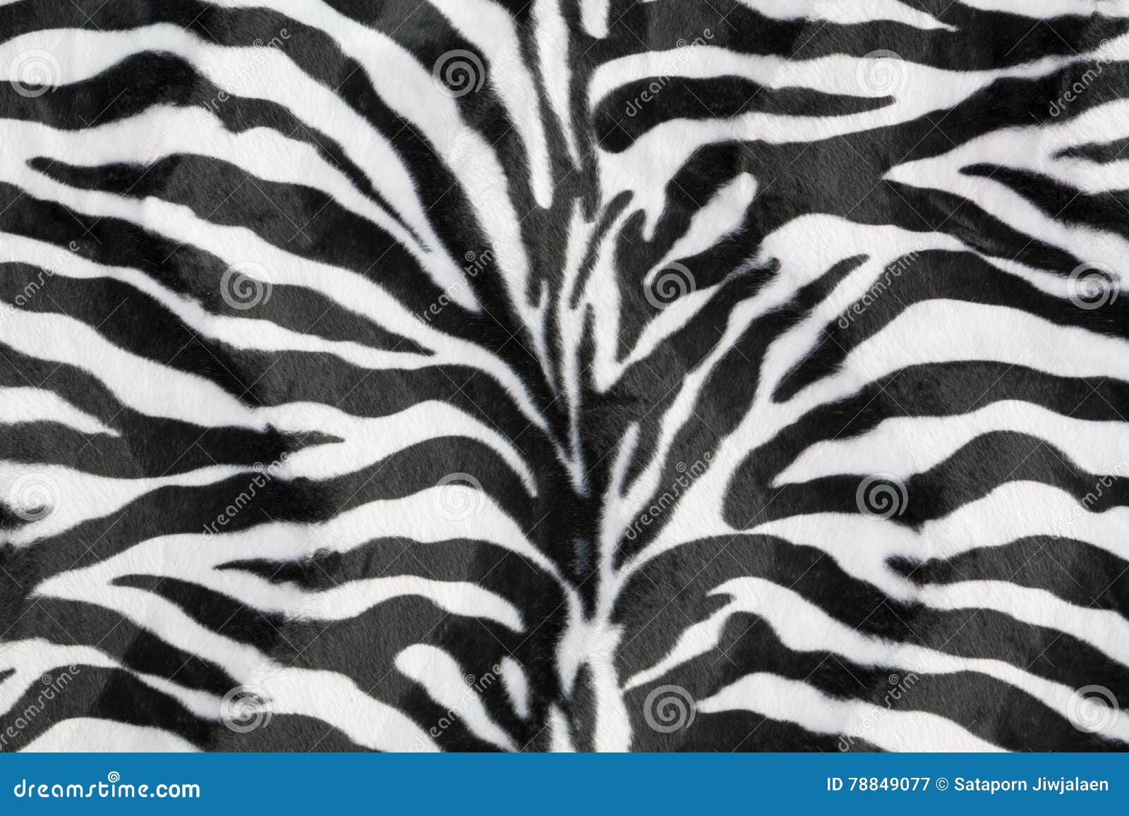 Fondo De La Textura De La Cebra Imagen de archivo - Imagen de cubo ...