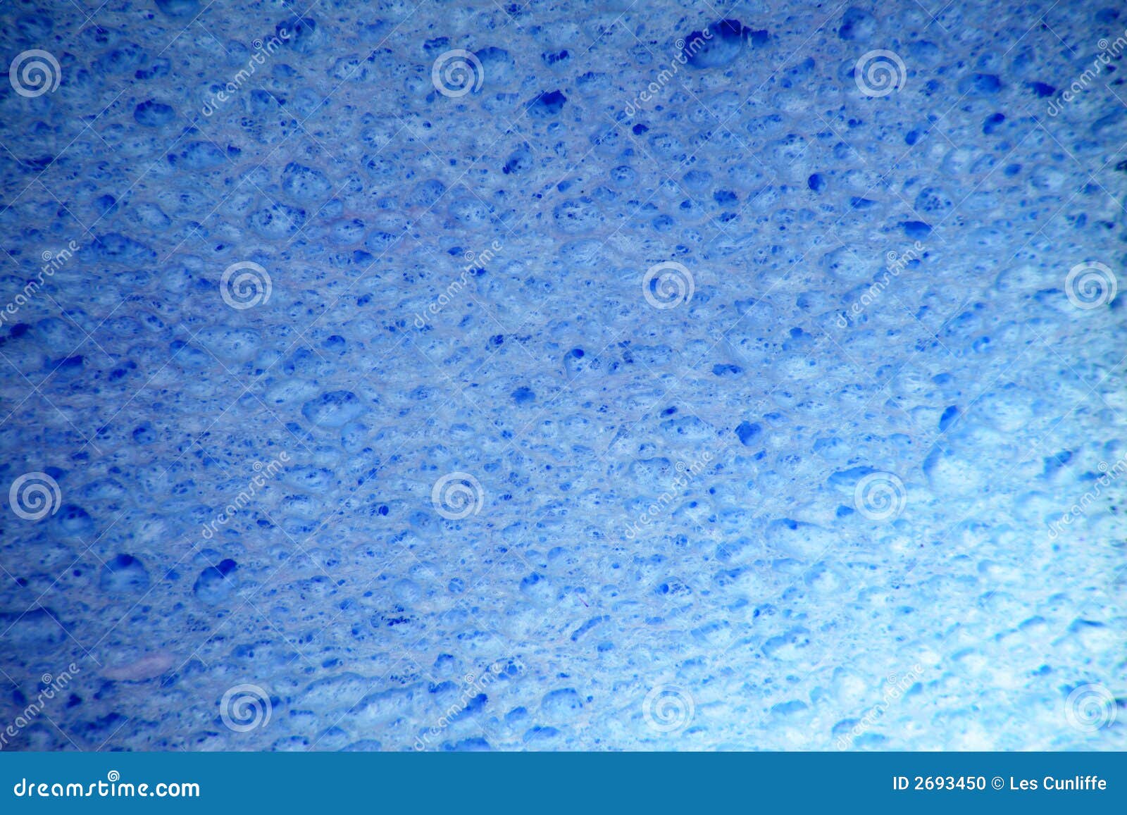 Fondo De La Textura De La Esponja Foto de archivo - Imagen de primer ...