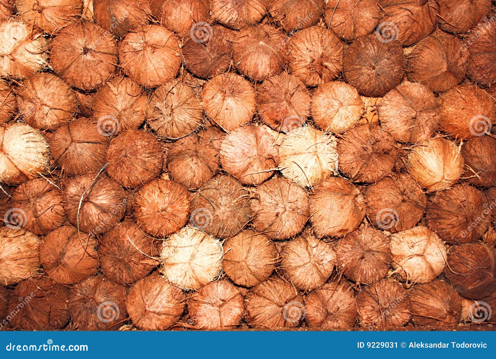 Fondo De La Textura Del Coco Imagen de archivo - Imagen de indiferente ...