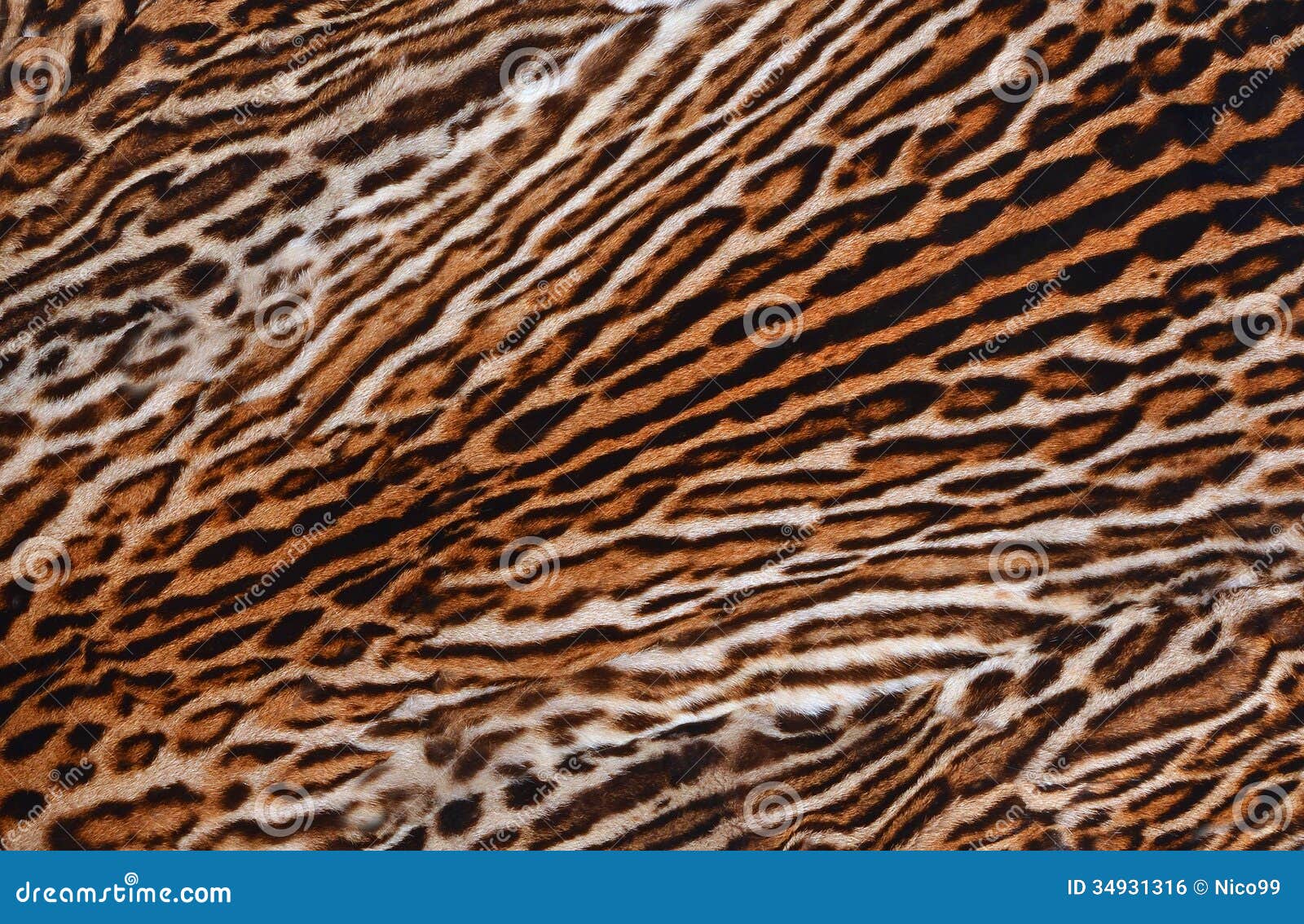 Fondo De La Textura Del Leopardo Foto de archivo - Imagen de hermoso ...