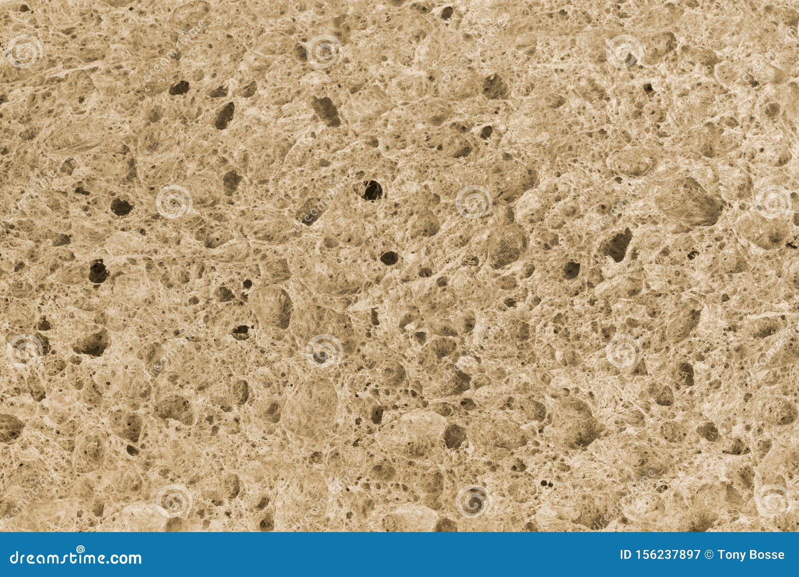 Fondo De La Textura De La Esponja Imagen de archivo - Imagen de esponja ...