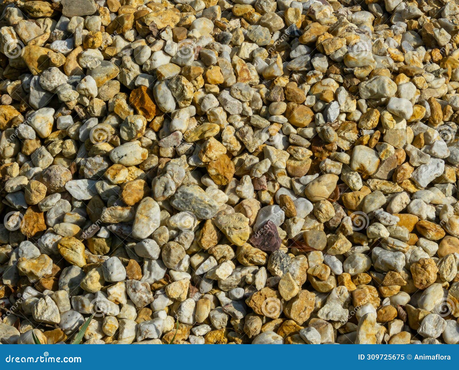 Fondo De La Textura De La Grava Amarilla Imagen de archivo - Imagen de ...