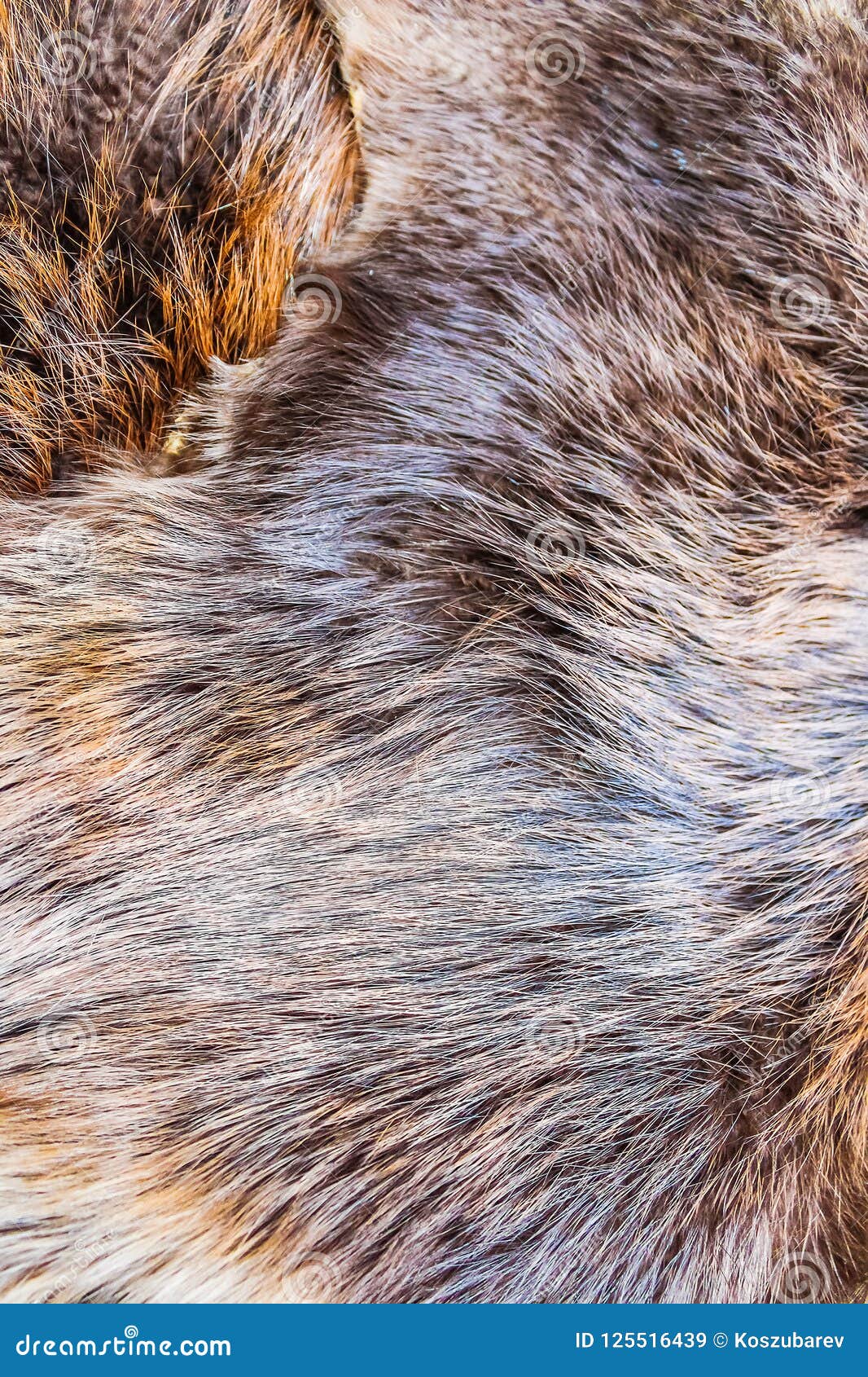 Fondo De La Vertical De La Piel Del Castor Imagen de archivo - Imagen ...