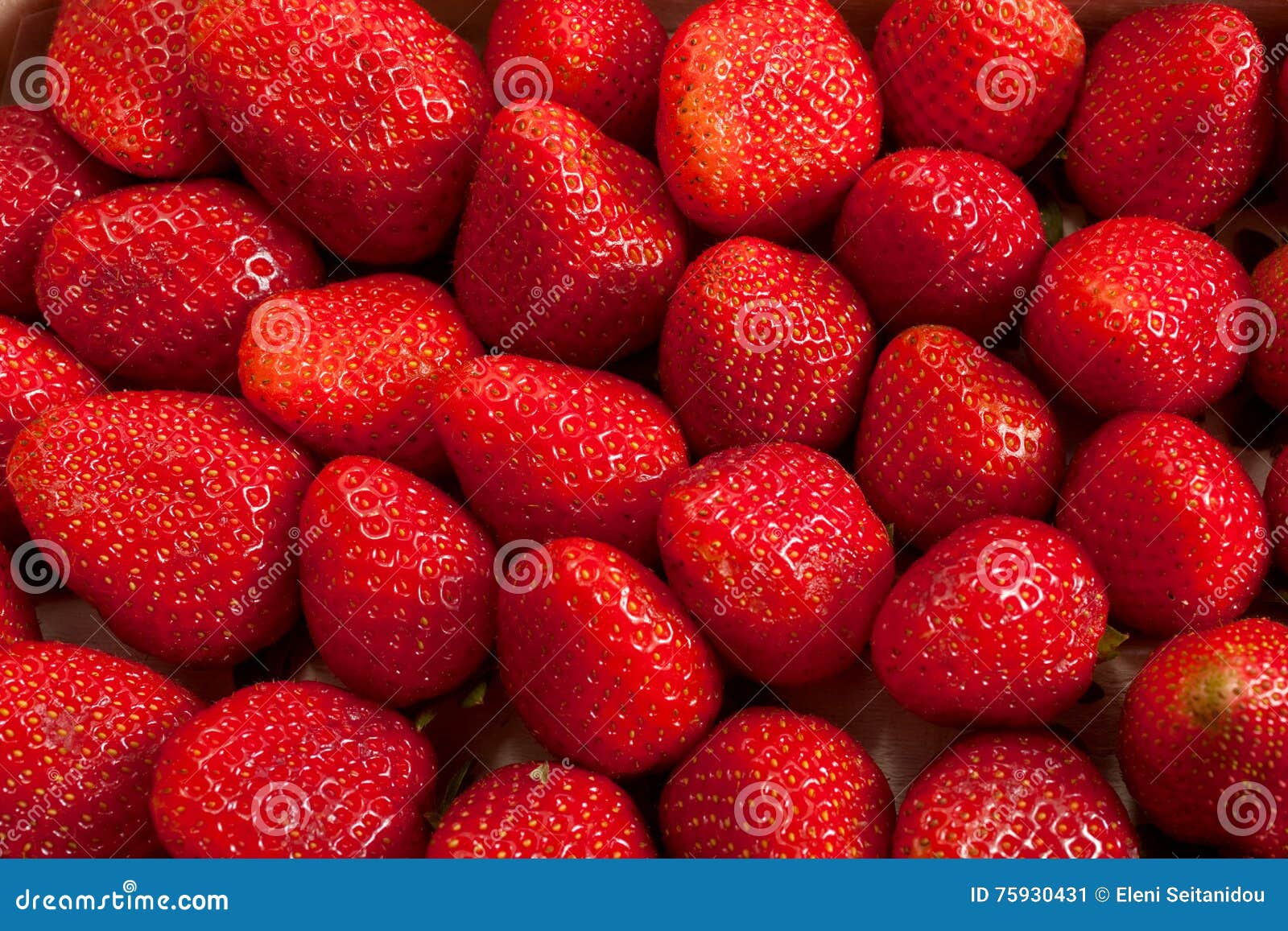Fondo de las fresas imagen de archivo. Imagen de wallpaper - 75930431