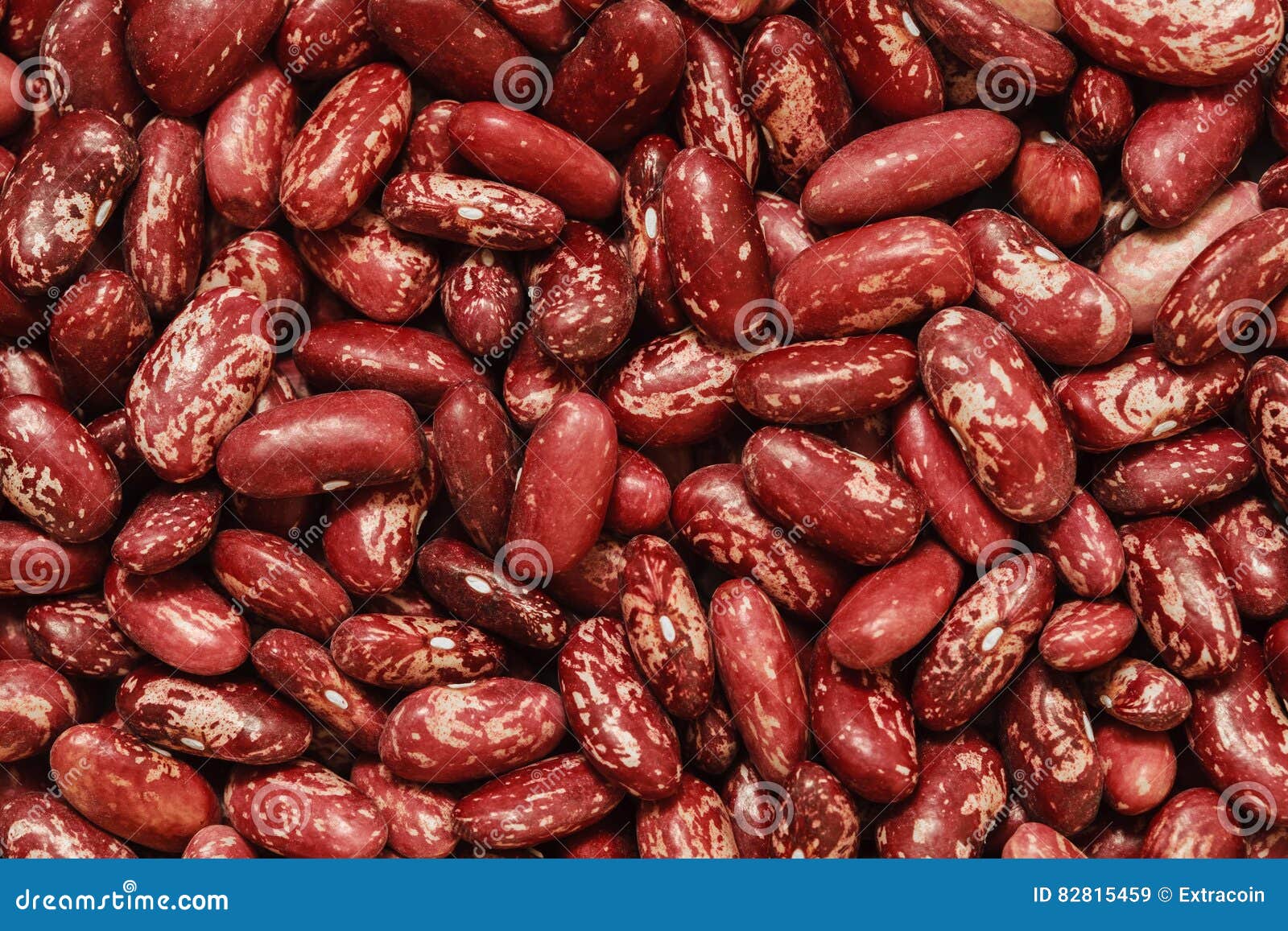 Fondo de las habas rojas imagen de archivo. Imagen de agricultura ...