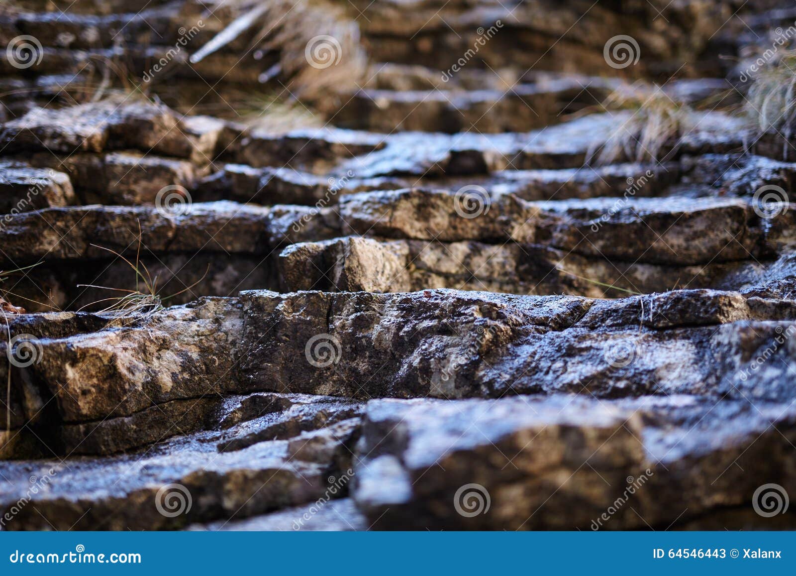 Fondo De Las Rocas Sedimentarias Imagen de archivo - Imagen de ...