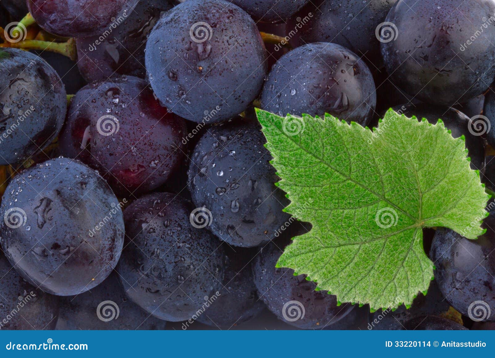 Fondo de las uvas foto de archivo. Imagen de crezca, hoja - 33220114