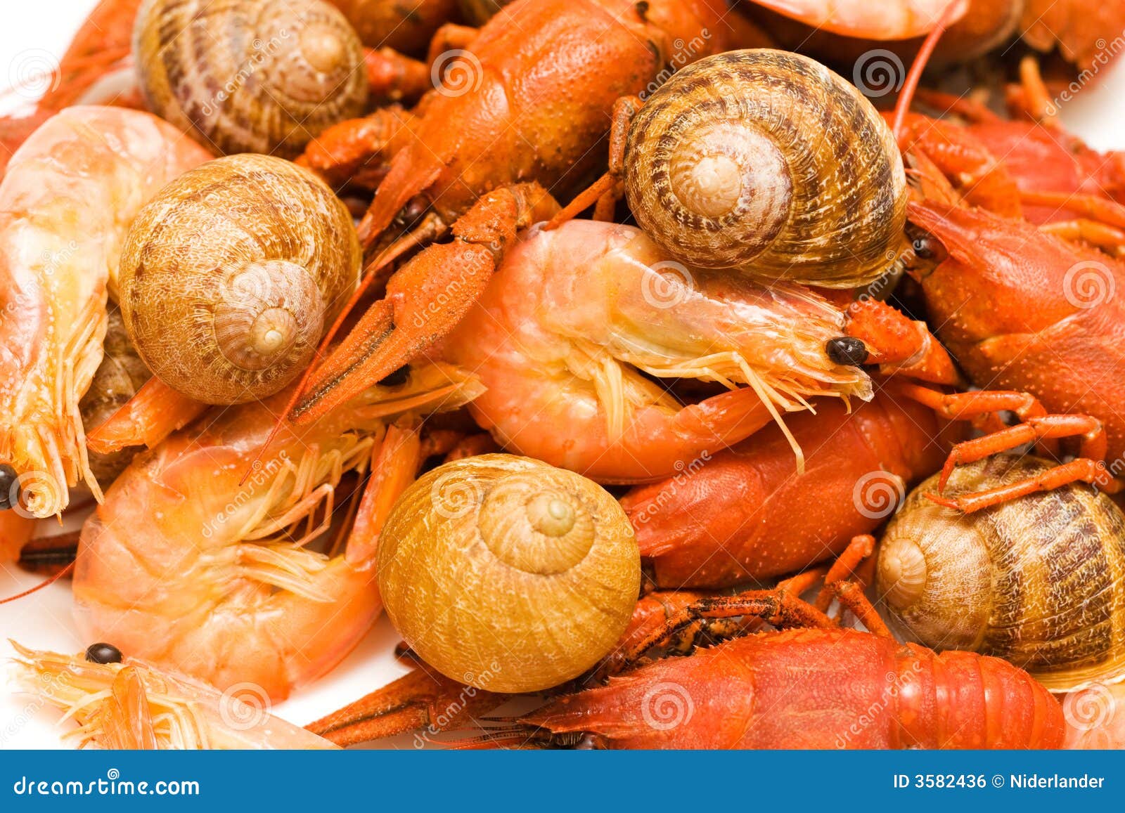 Fondo de los mariscos foto de archivo. Imagen de fresco - 3582436