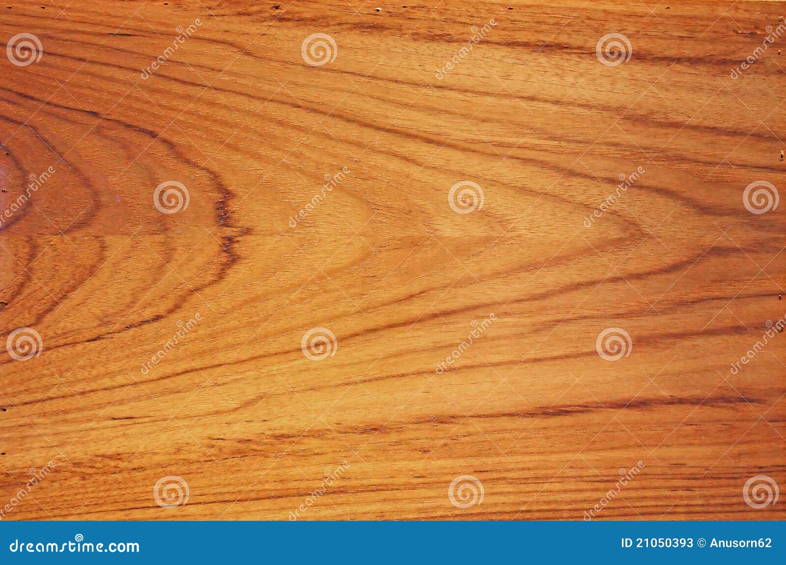 Primer De La Textura De Madera Del Cedro Fotos De Stock - Download ...