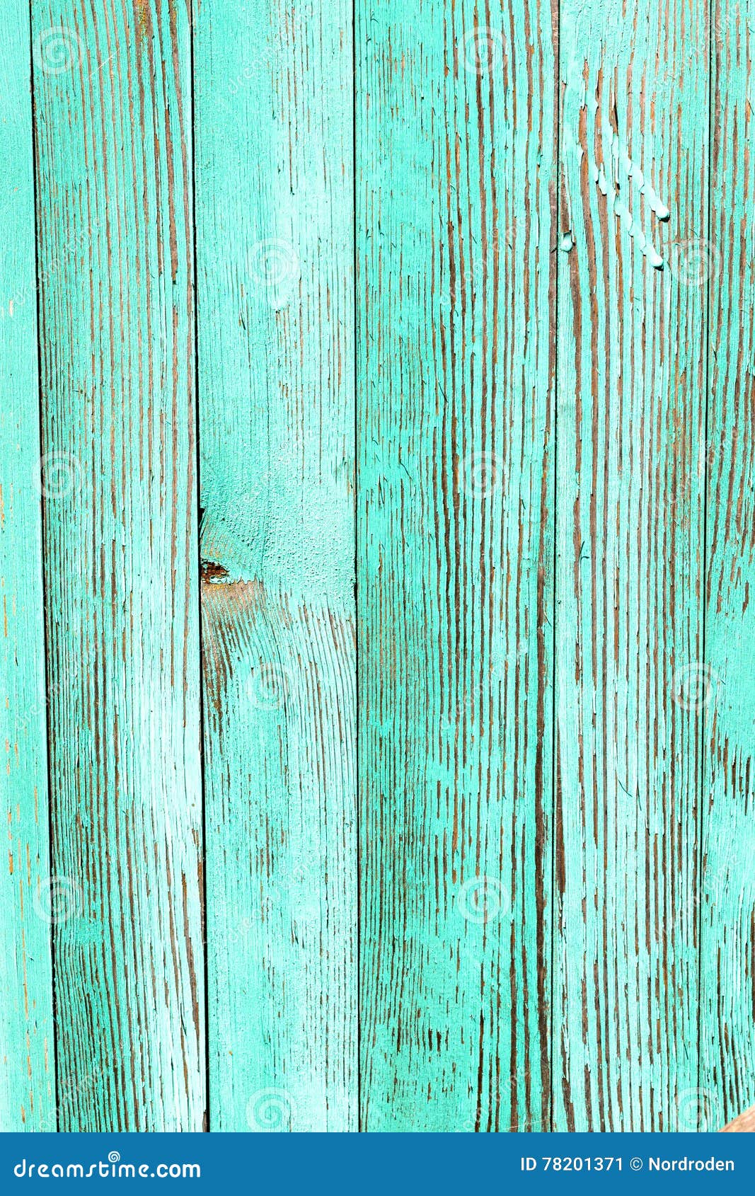 Fondo De Madera Verde Color Claro Imagen de archivo - Imagen de verde ...