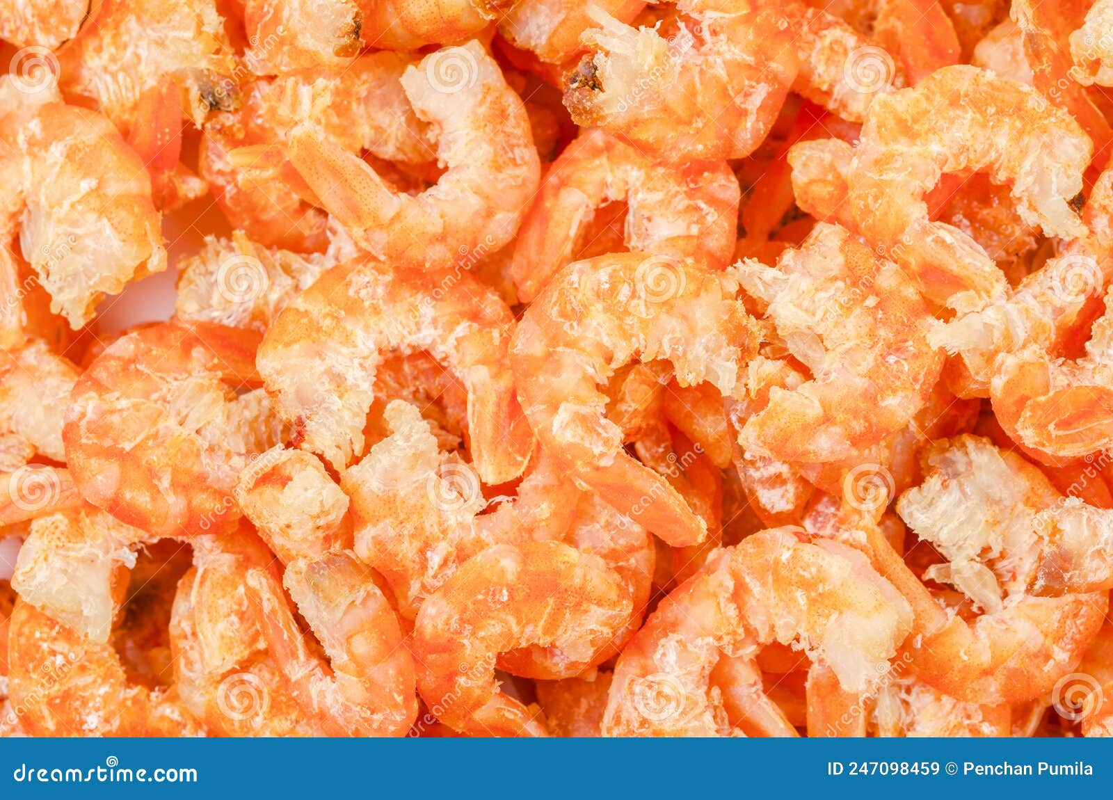 Fondo De Muchas Gambas Secas De Textura Imagen de archivo - Imagen de ...