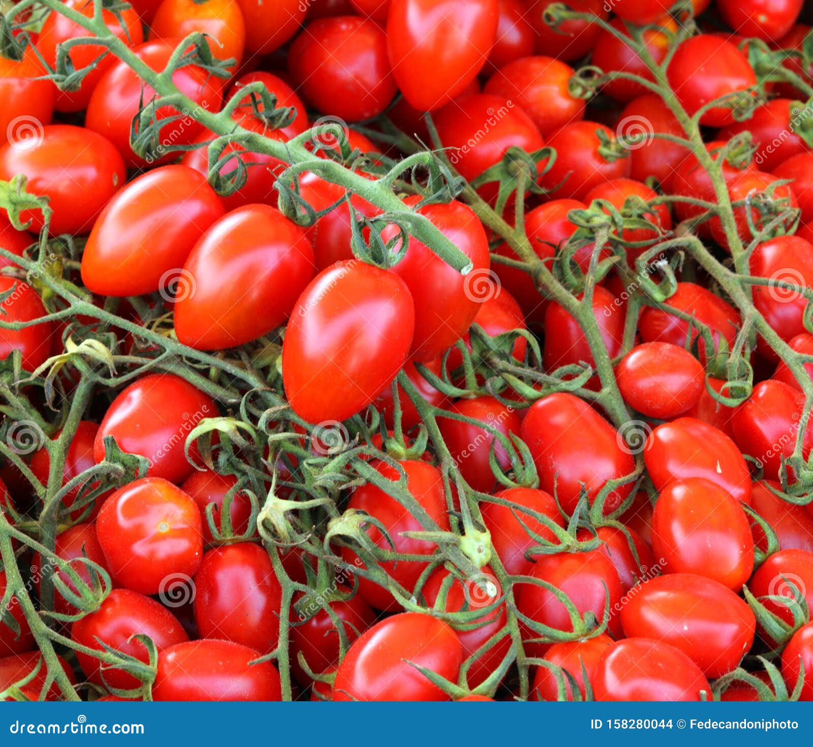 Fondo De Muchos Tomates Madereros Rojos Foto de archivo - Imagen de ...