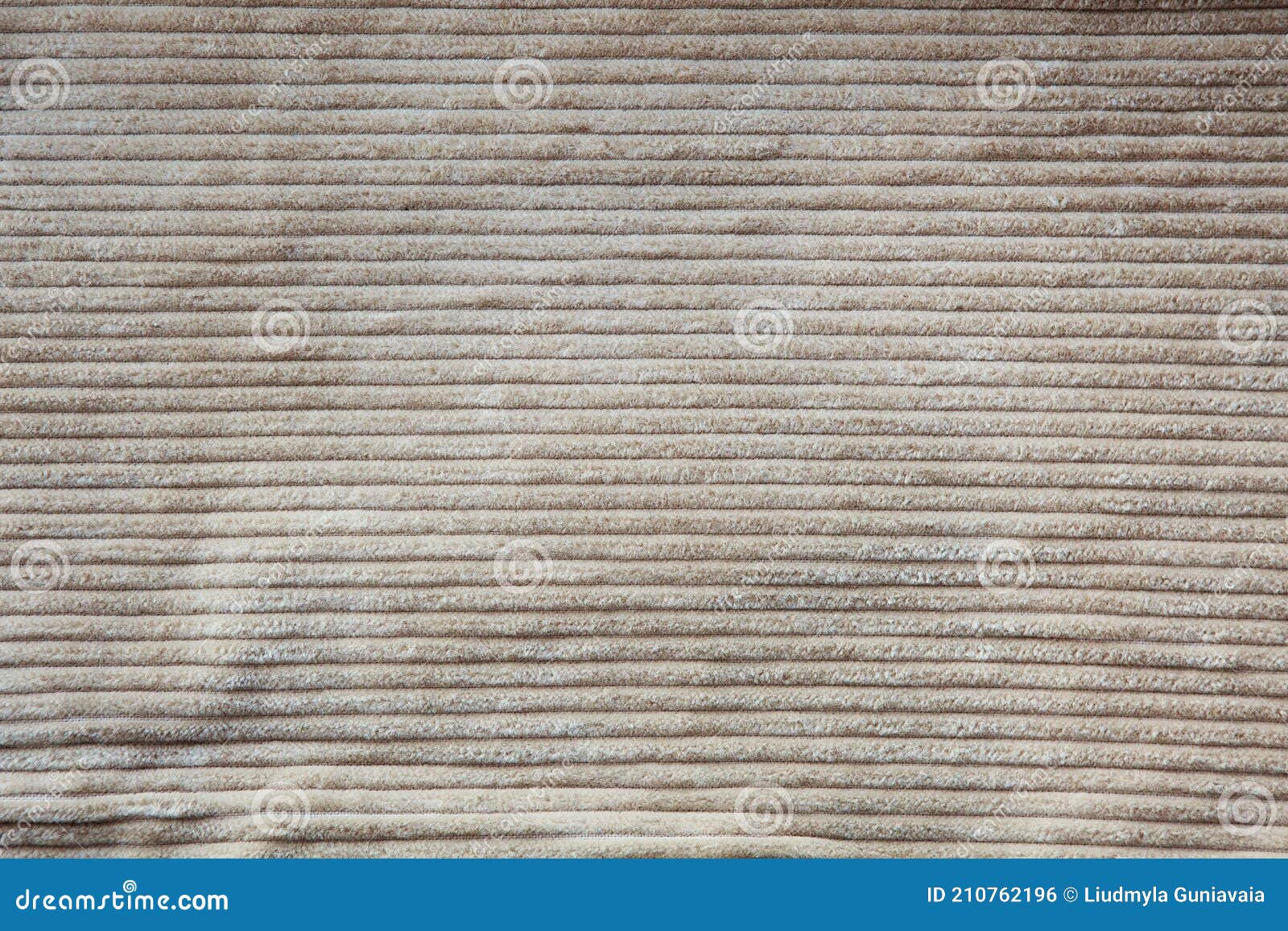 Fondo De Pana. Textura De Pana Crema Textil. Espacio De Copia Foto de ...