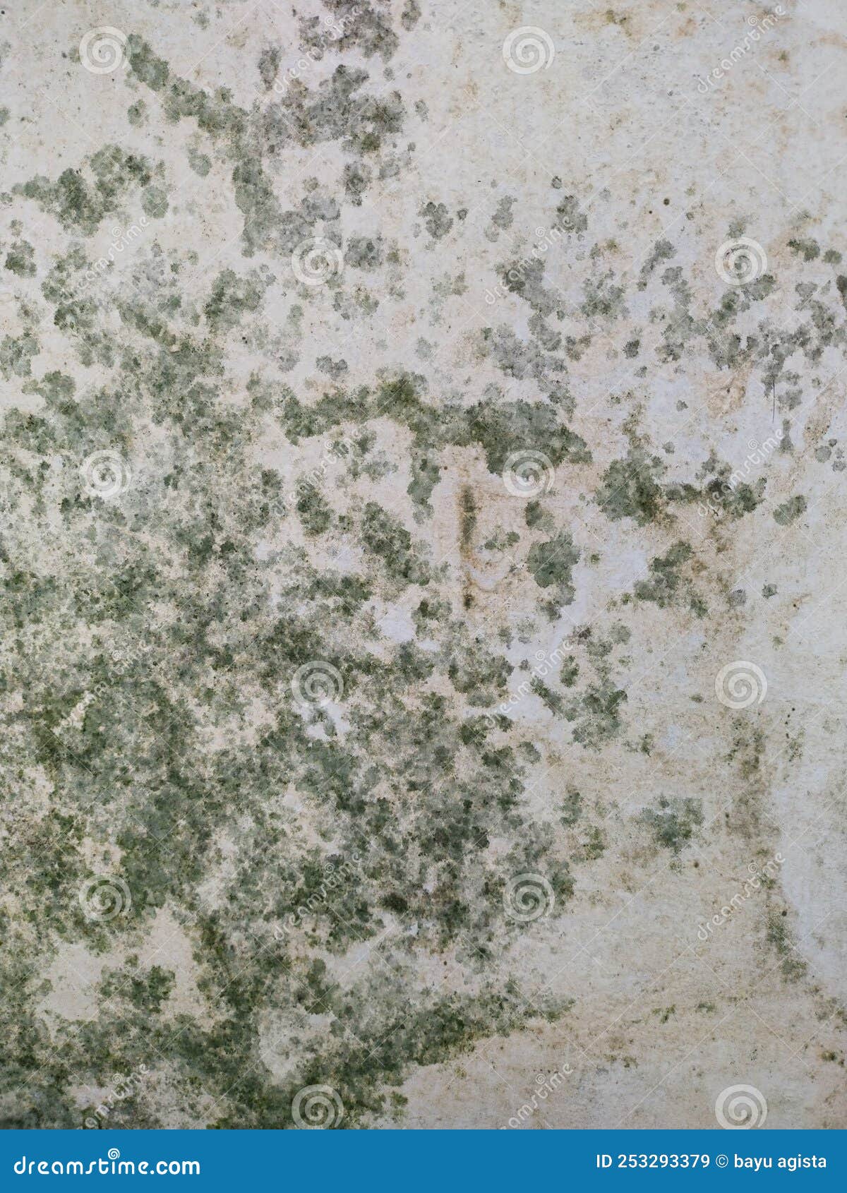 Fondo De Pared Antiguo Que Es Mucho Musgo Imagen de archivo - Imagen de ...