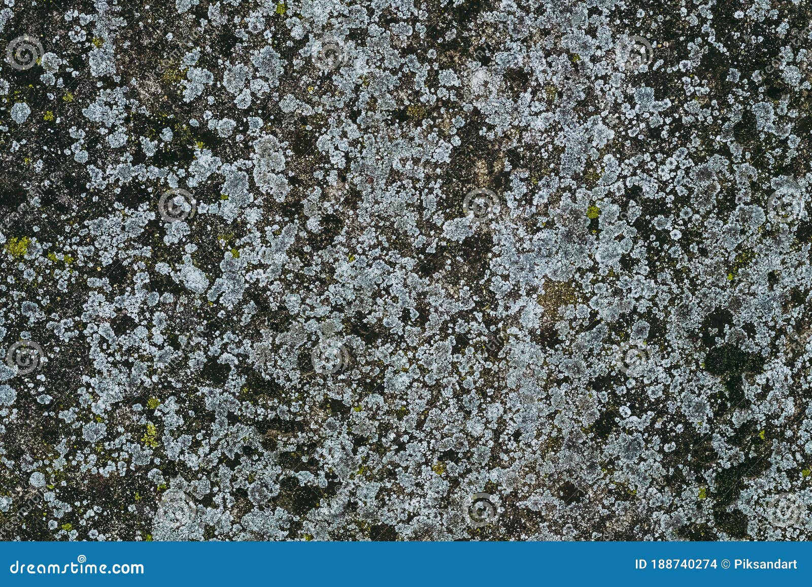 Fondo de pared moteado foto de archivo. Imagen de detalle - 188740274