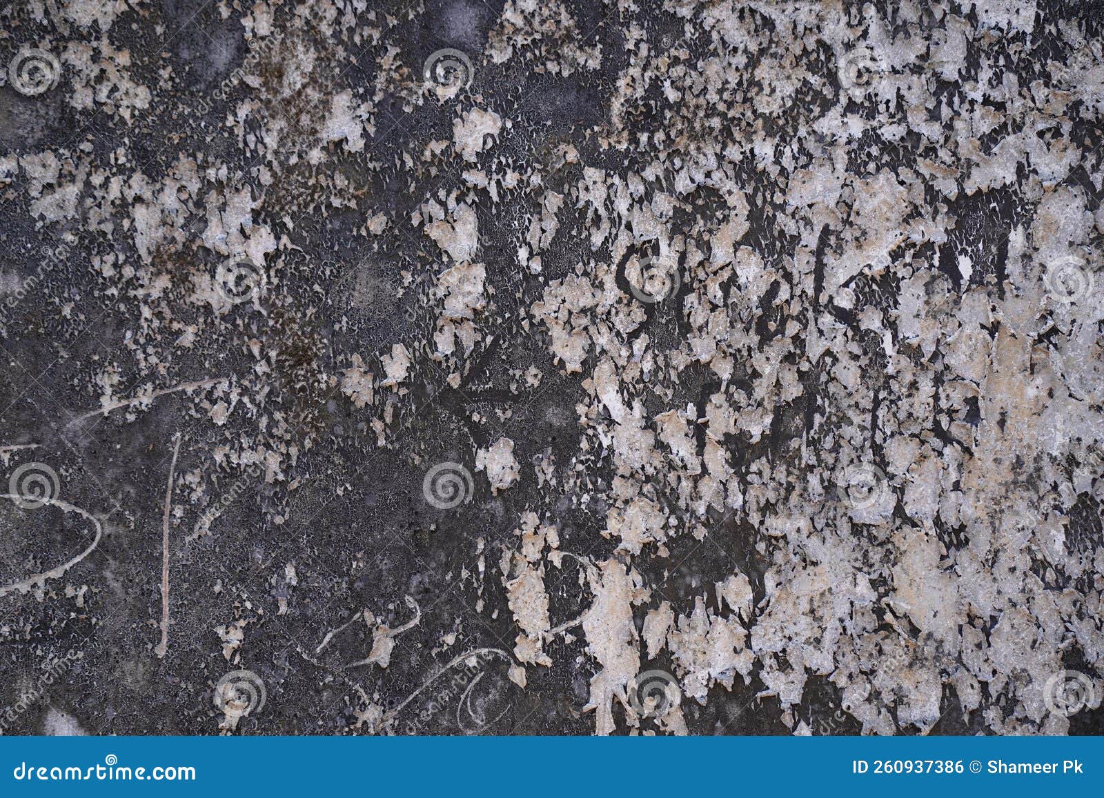 Fondo De Pared De Textura Gruesa Foto de archivo - Imagen de hoja, gala ...