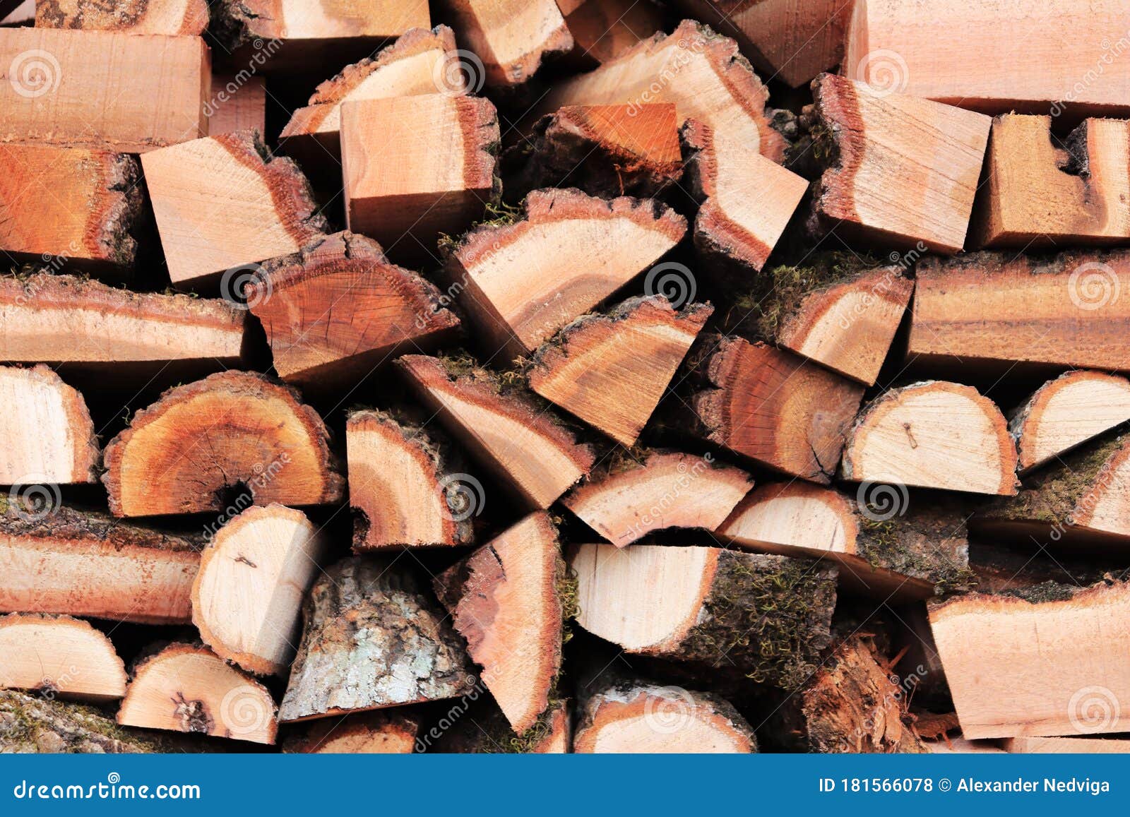 Fondo de tala de madera. foto de archivo. Imagen de material - 181566078