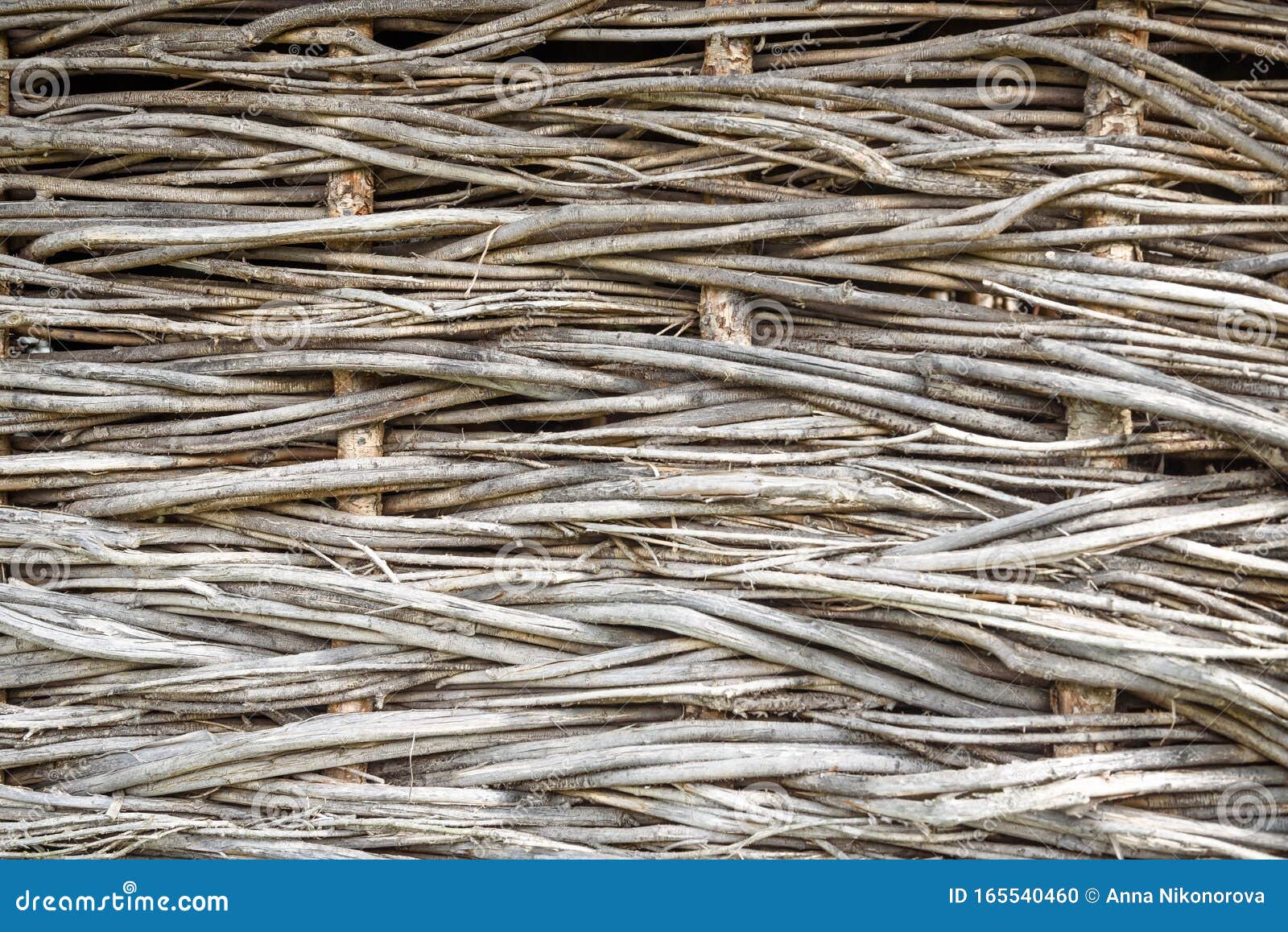 Fondo De Textura De La Pared Tejida Con Ramas Secas Foto de archivo ...