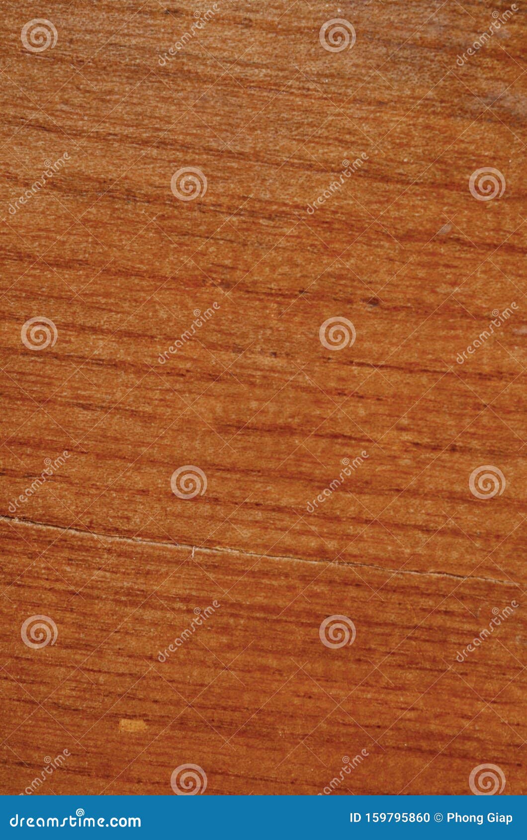 Fondo De Textura De Madera De Arce Foto de archivo - Imagen de ...