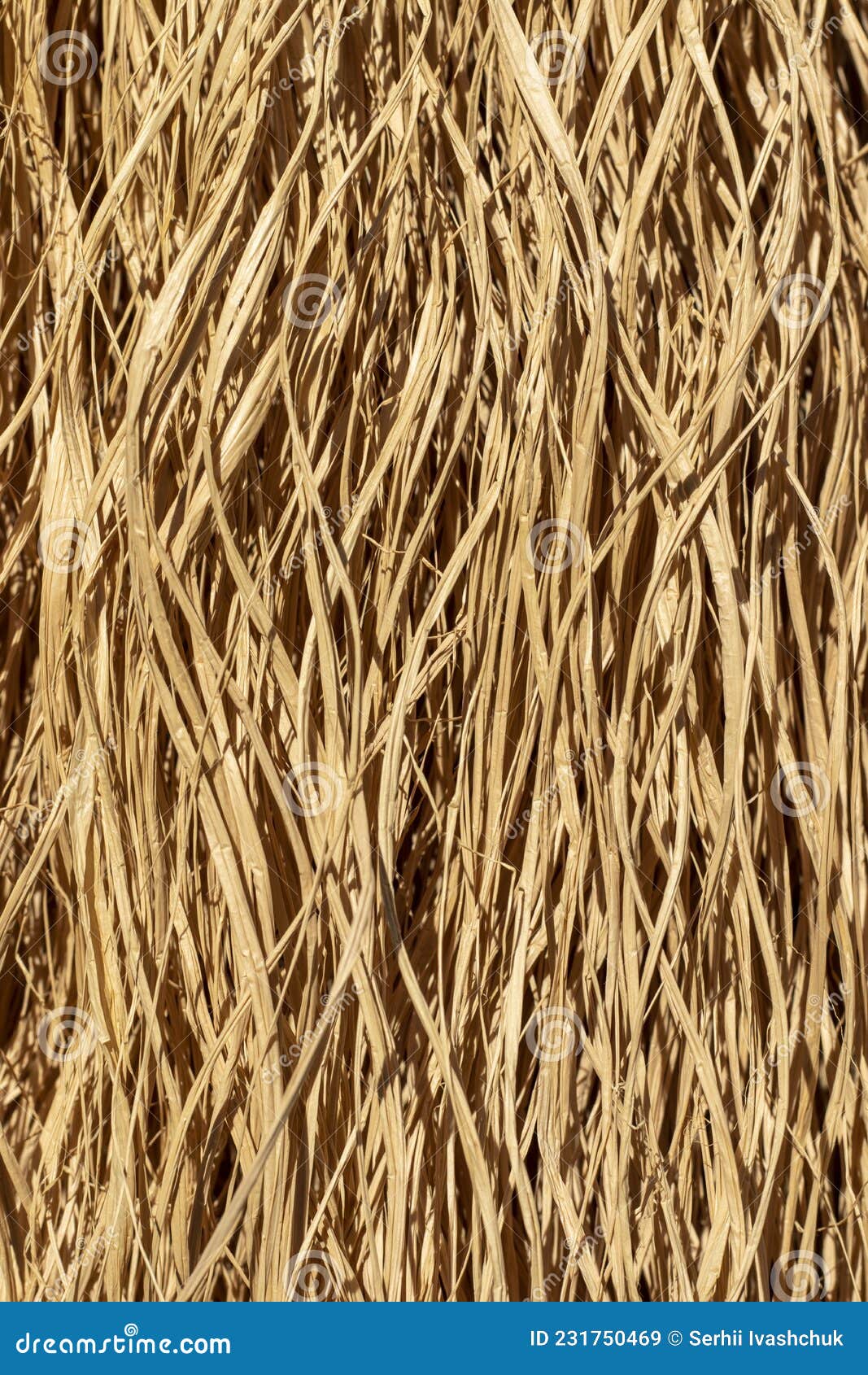 Fondo de textura de paja. imagen de archivo. Imagen de deslumbramiento ...