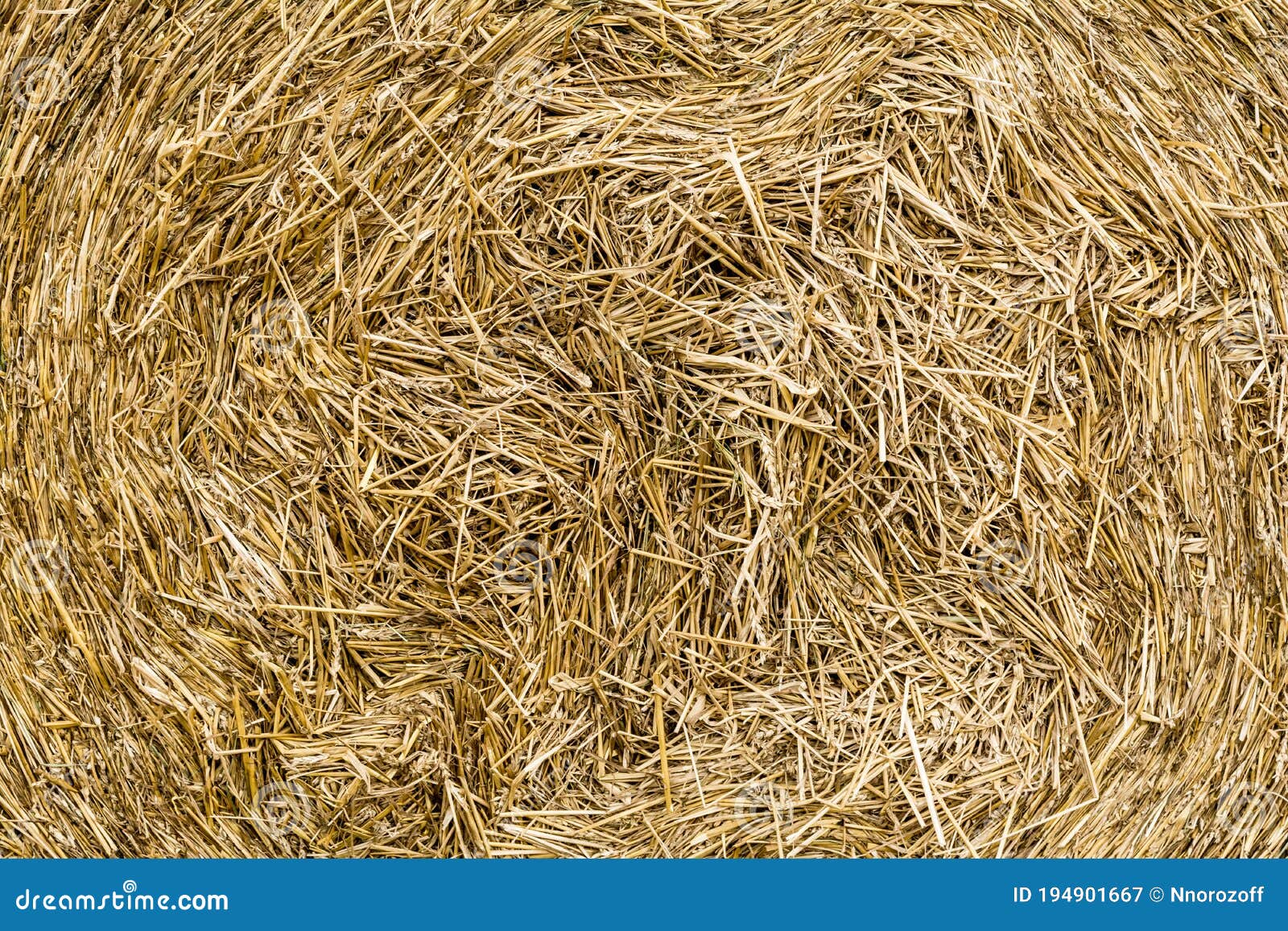 Fondo de textura de paja imagen de archivo. Imagen de rural - 194901667