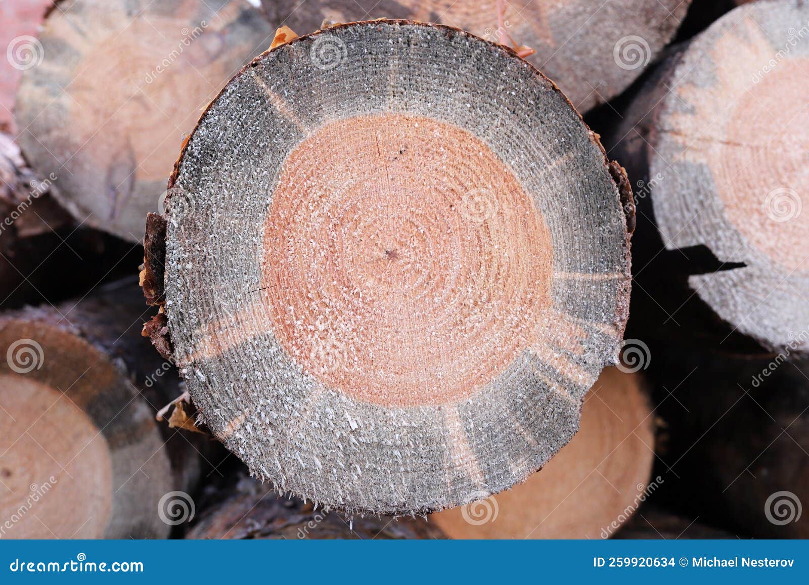 Fondo De Textura De Troncos De Madera Foto de archivo - Imagen de ...