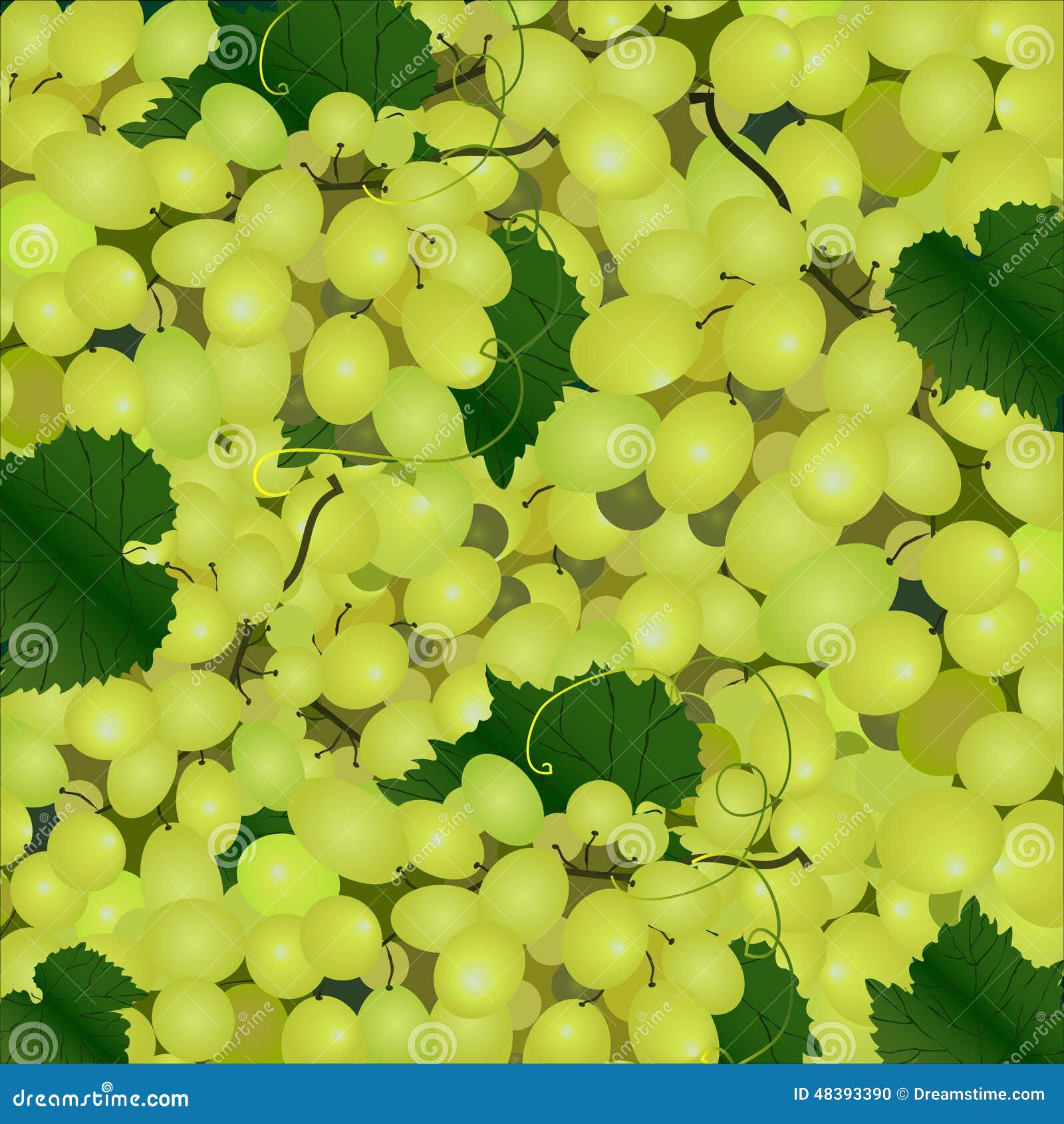 Fondo De Un Racimo De Uvas Verdes Ilustración del Vector - Ilustración ...