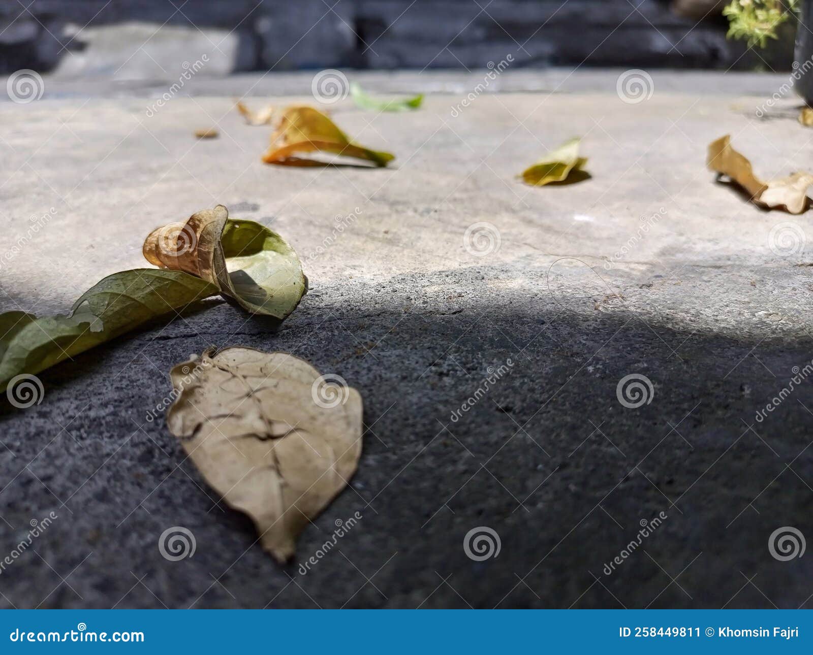 Fondo De Una Hoja Seca Esparcida En El Suelo Imagen de archivo - Imagen ...