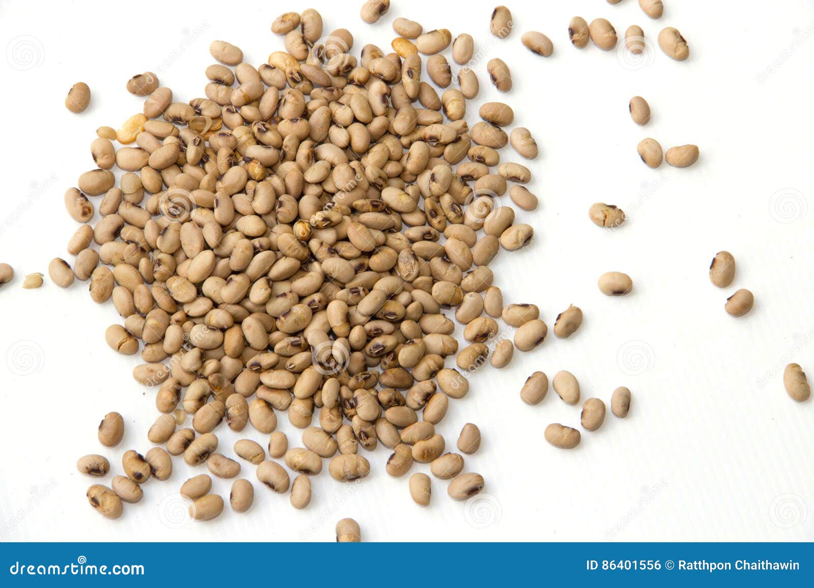 Fondo Del Blanco De La Haba De La Soja Foto de archivo - Imagen de ...