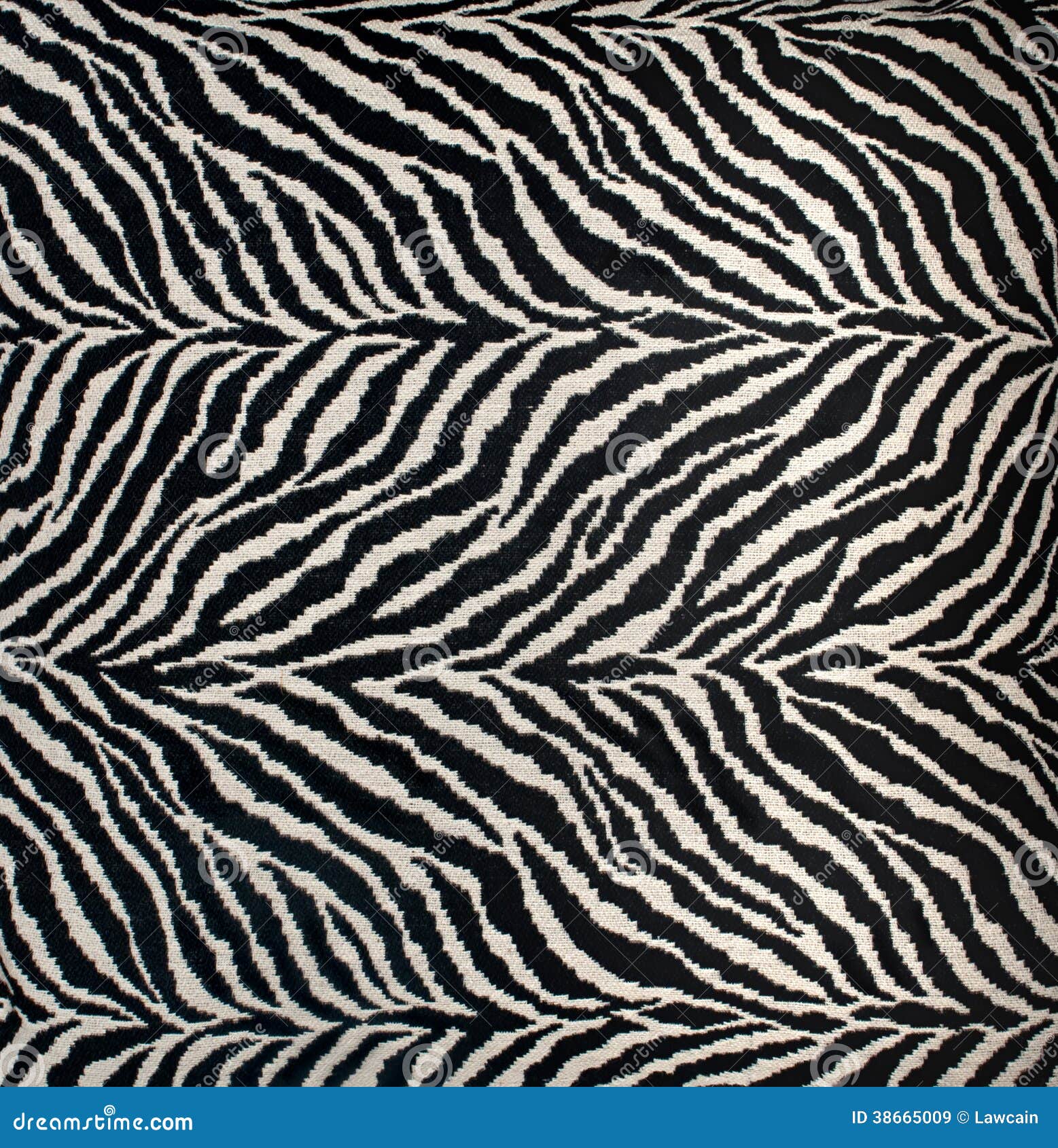 Fondo Del Estampado De Zebra Imagen de archivo - Imagen de primer ...