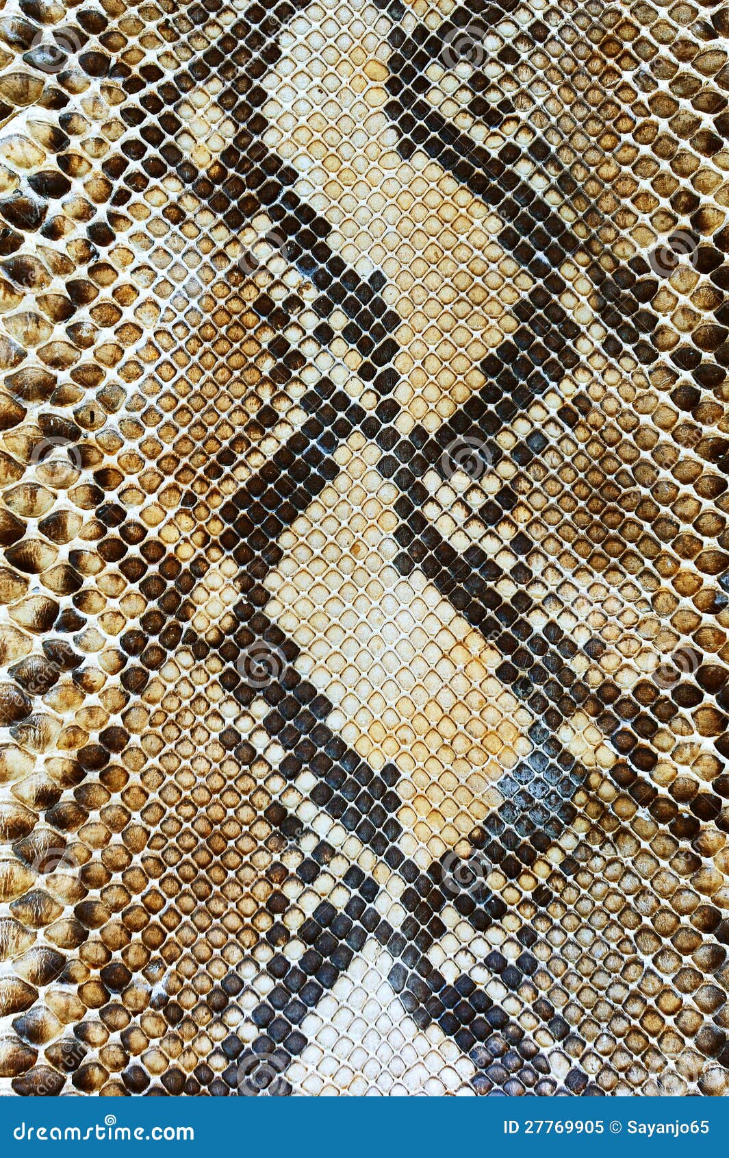 Fondo Del Modelo De La Piel De Serpiente Imagen de archivo - Imagen de ...