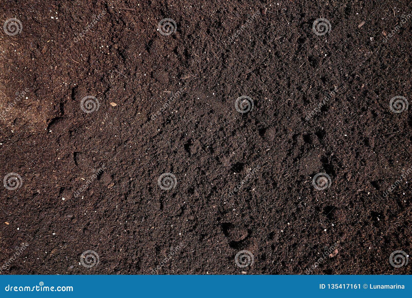 Fondo Del Modelo De La Textura Del Substrato Imagen de archivo - Imagen ...