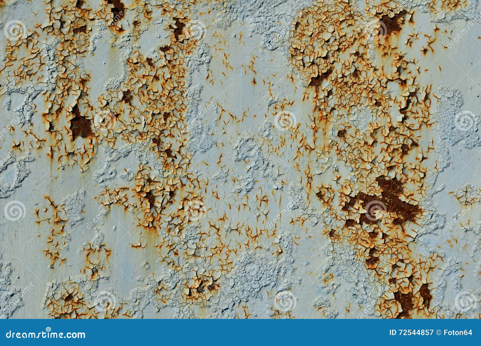 Fondo del moho imagen de archivo. Imagen de azul, moho - 72544857