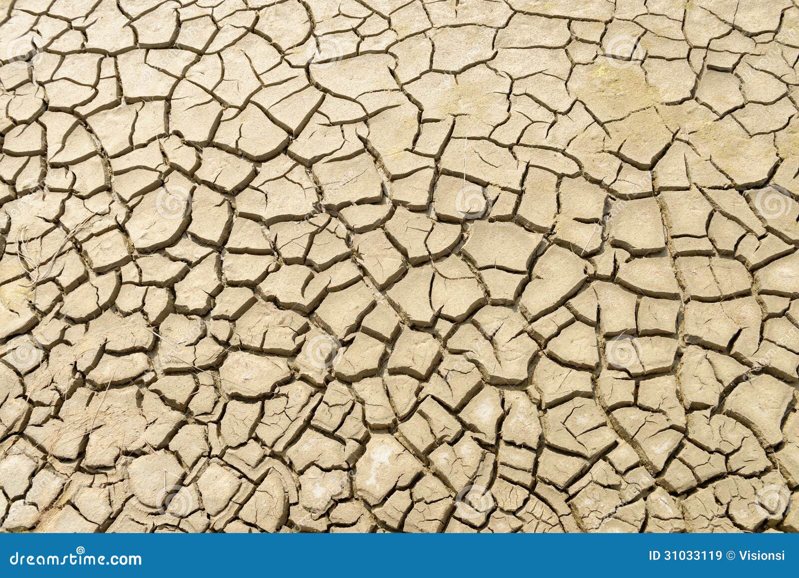 Fondo del suelo agrietado seco