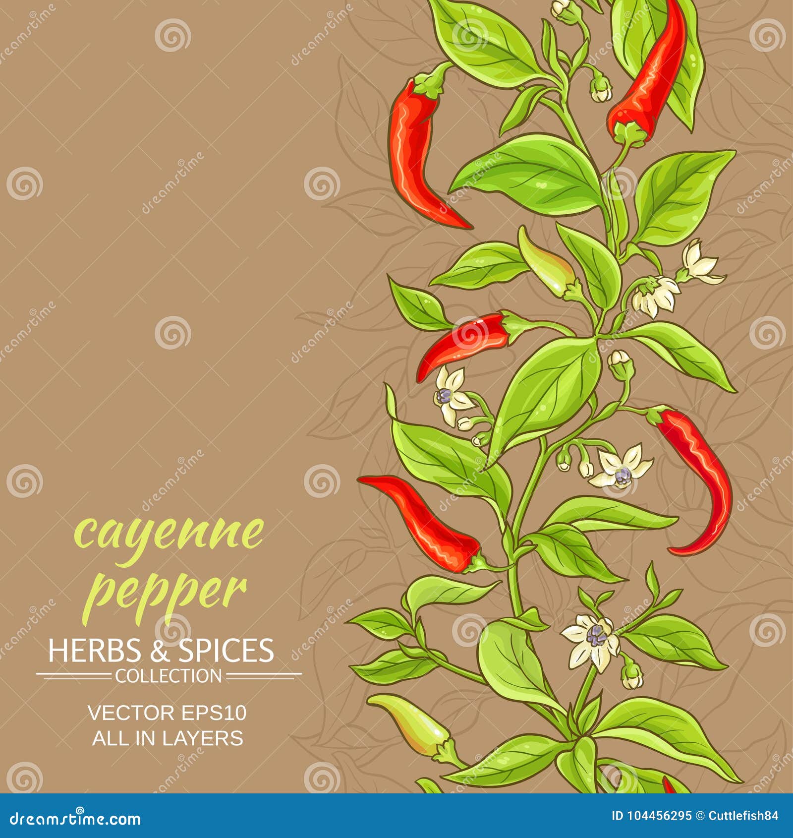 Fondo Del Vector De La Pimienta De Cayena Ilustración del Vector ...